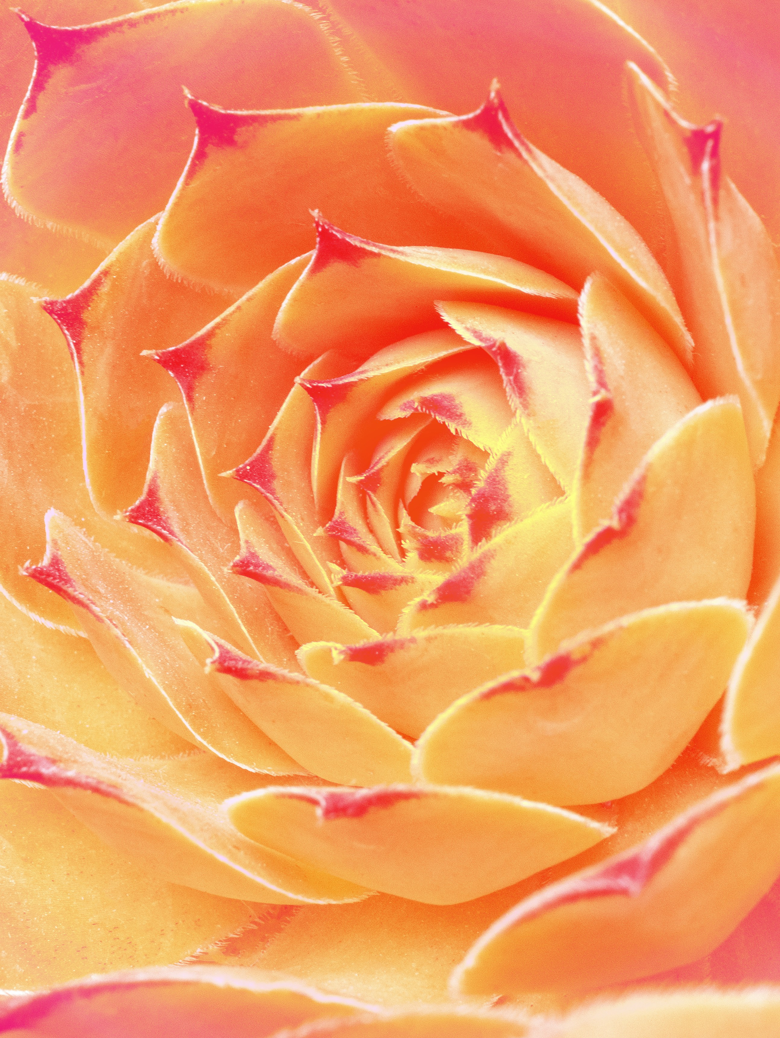 Textures (vertical) | 37 best free vertical, texture, color and ...