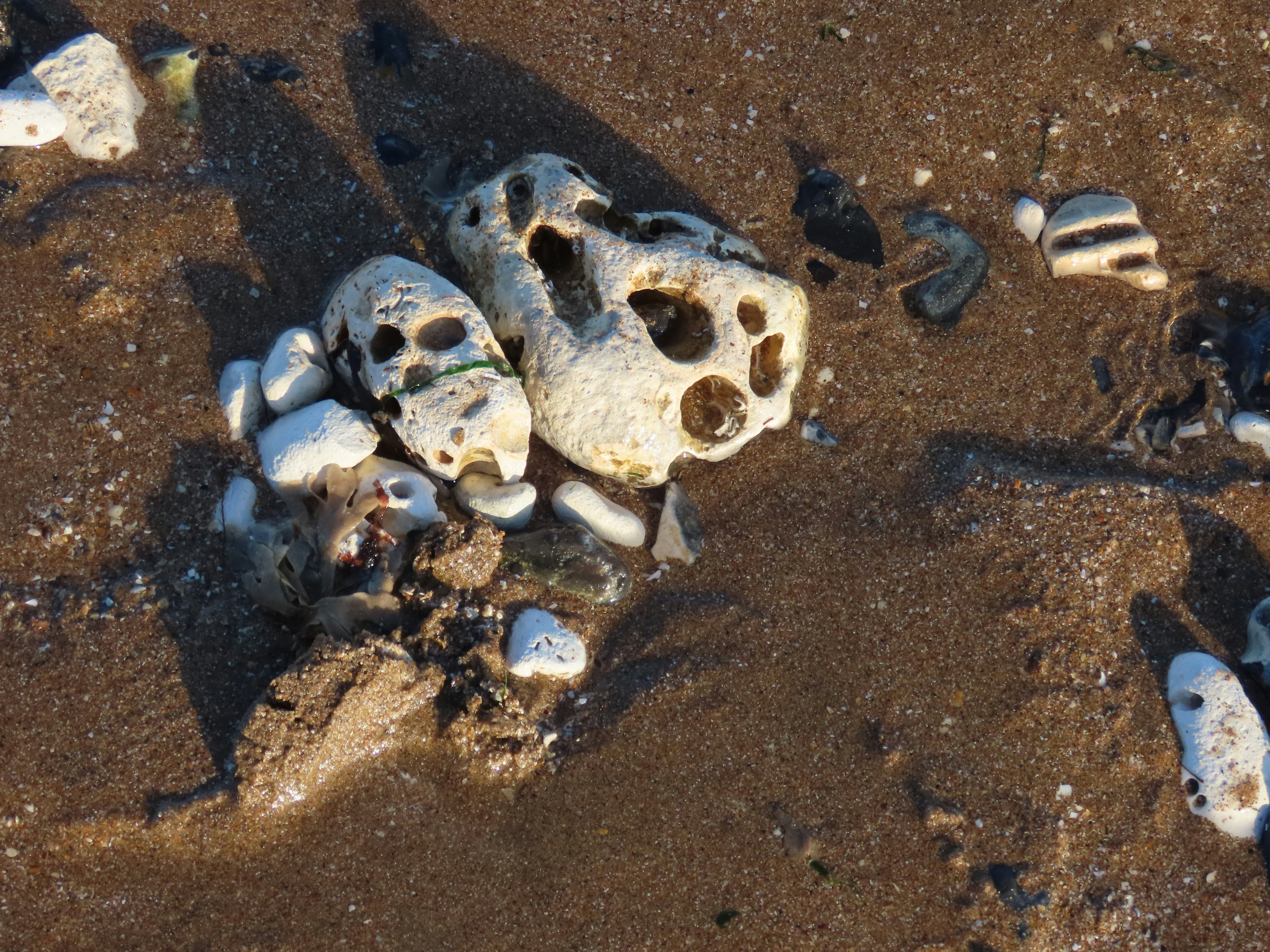 Cluster of weathered stones with porous textures resting on wet sand.