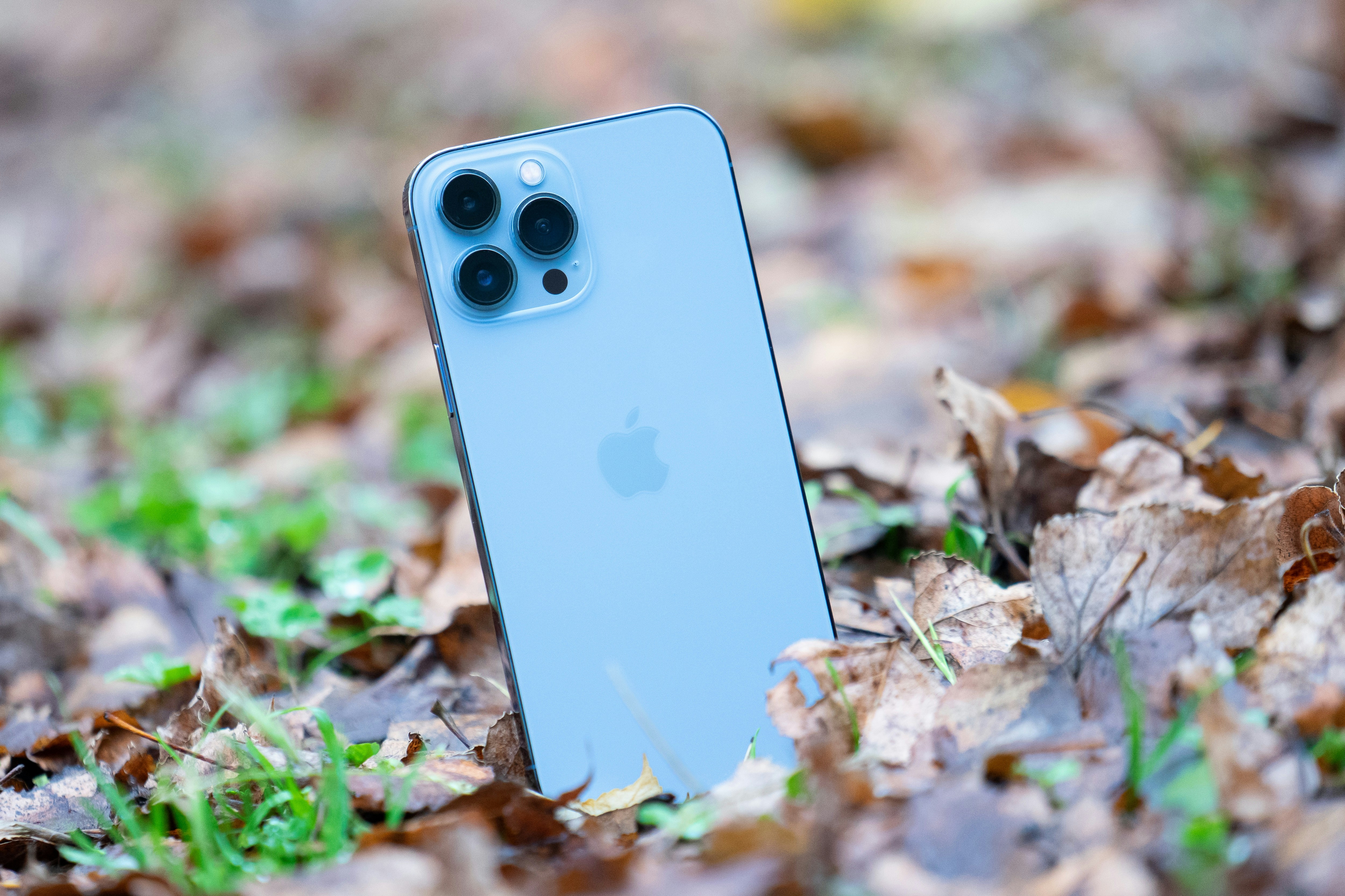 A blue iphone sitting on top of a leaf covered ground photo – Free ...