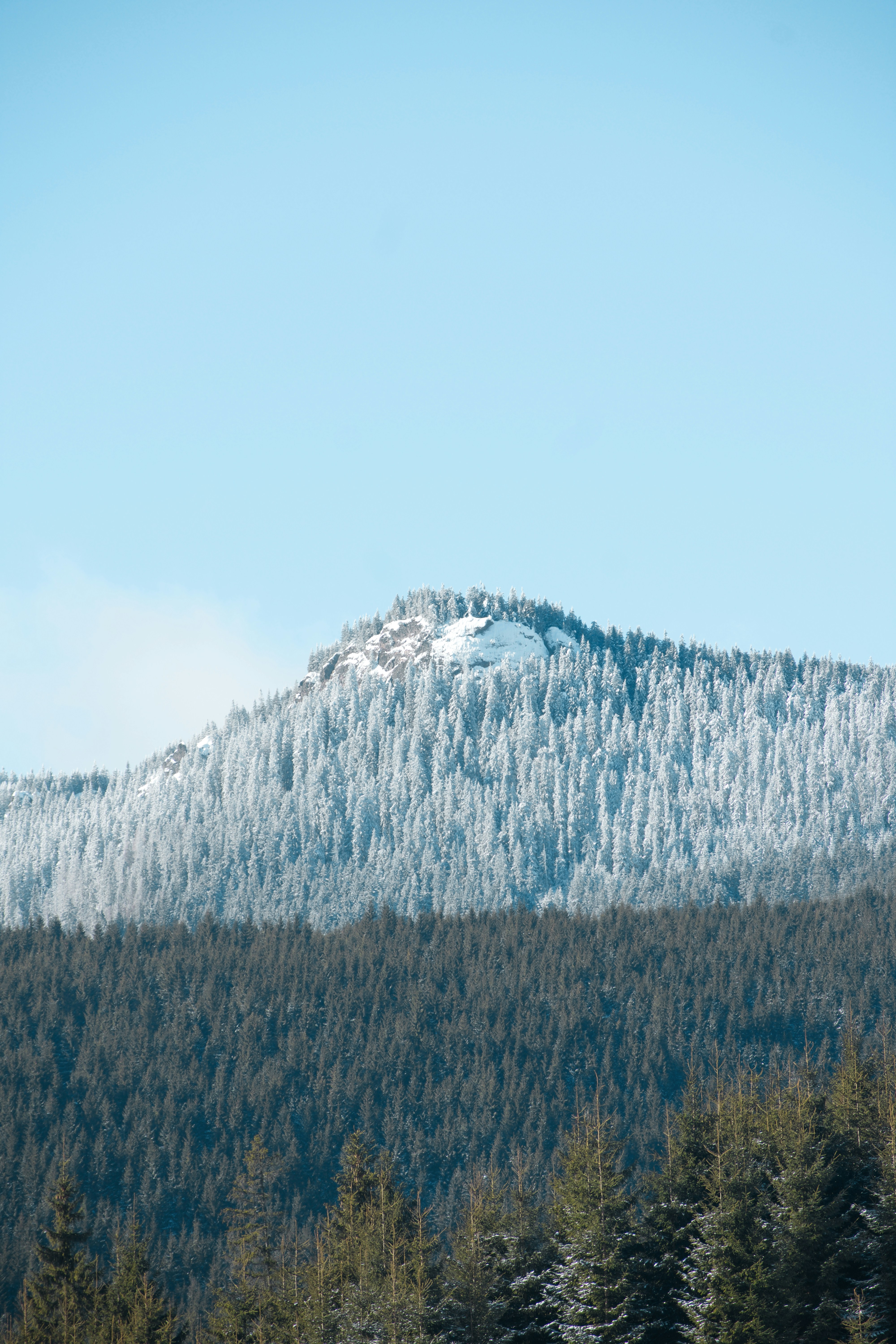 Snow-dusted mountain peak rises above a dense forest, showcasing the serene beauty of winter's embrace.