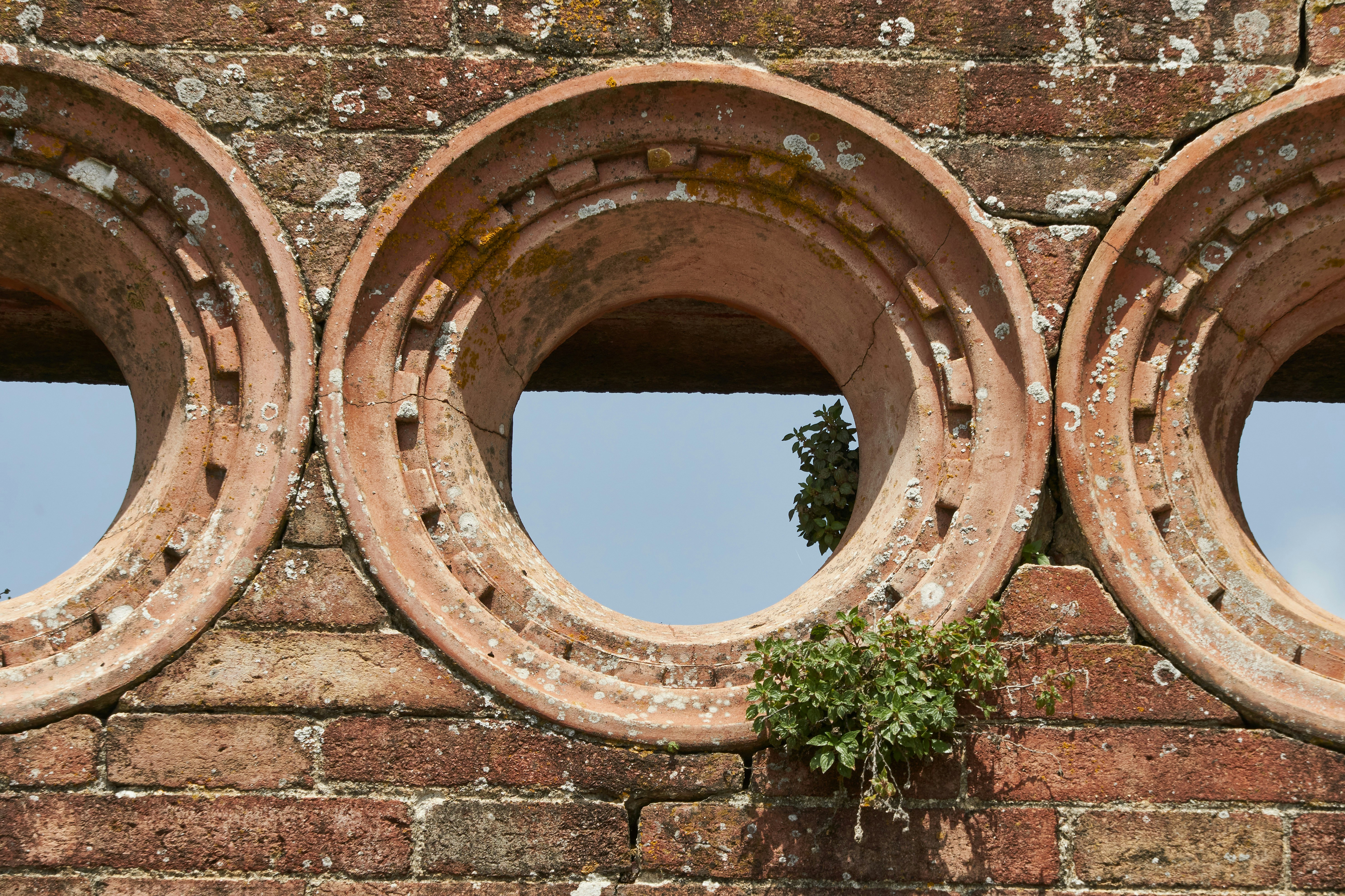 Circles in Red Brick: A Quiet Passage Through Round Openings