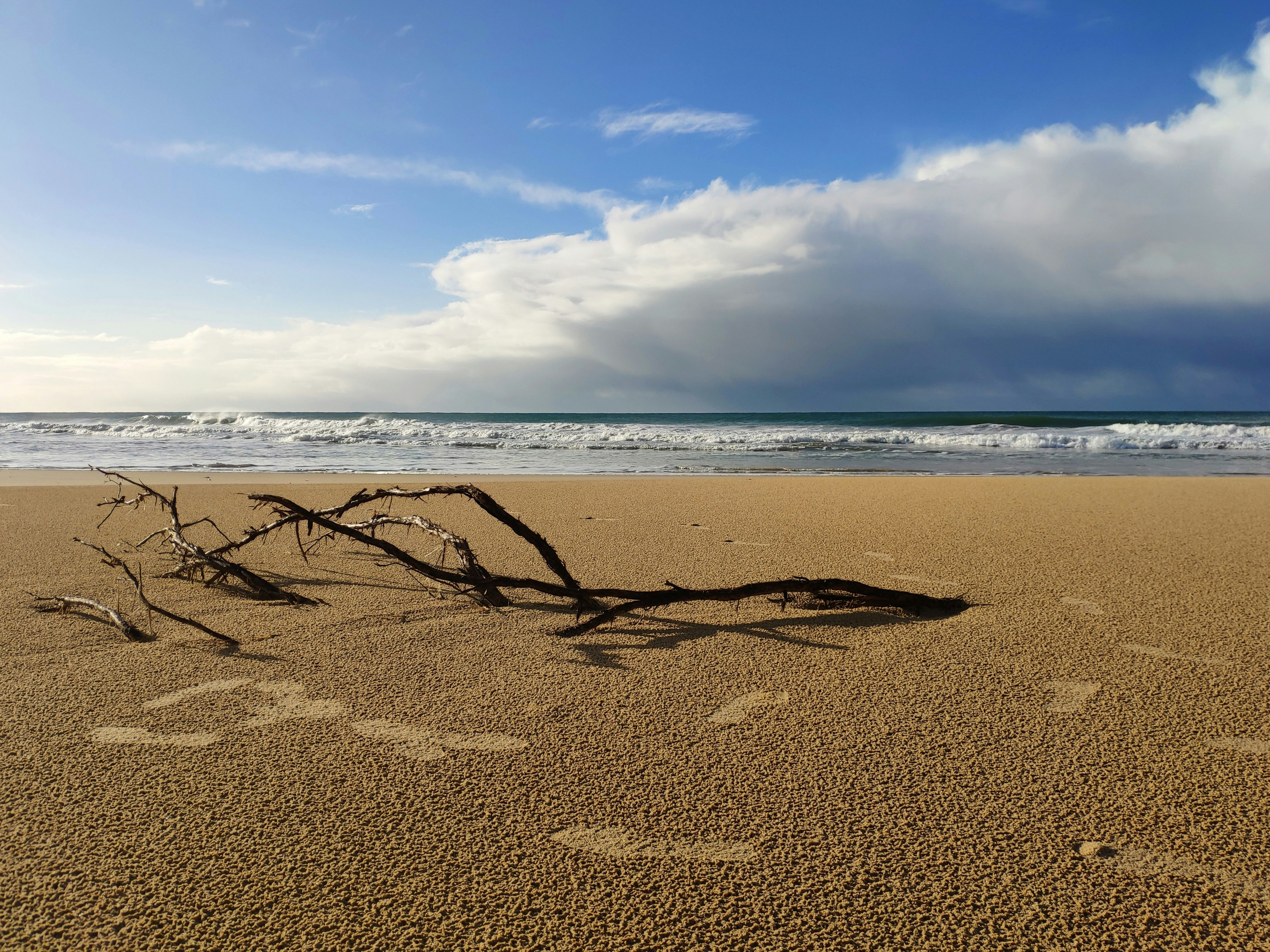 Driftwood Ribbons on a Quiet Beach Beneath a Looming Cloudscape