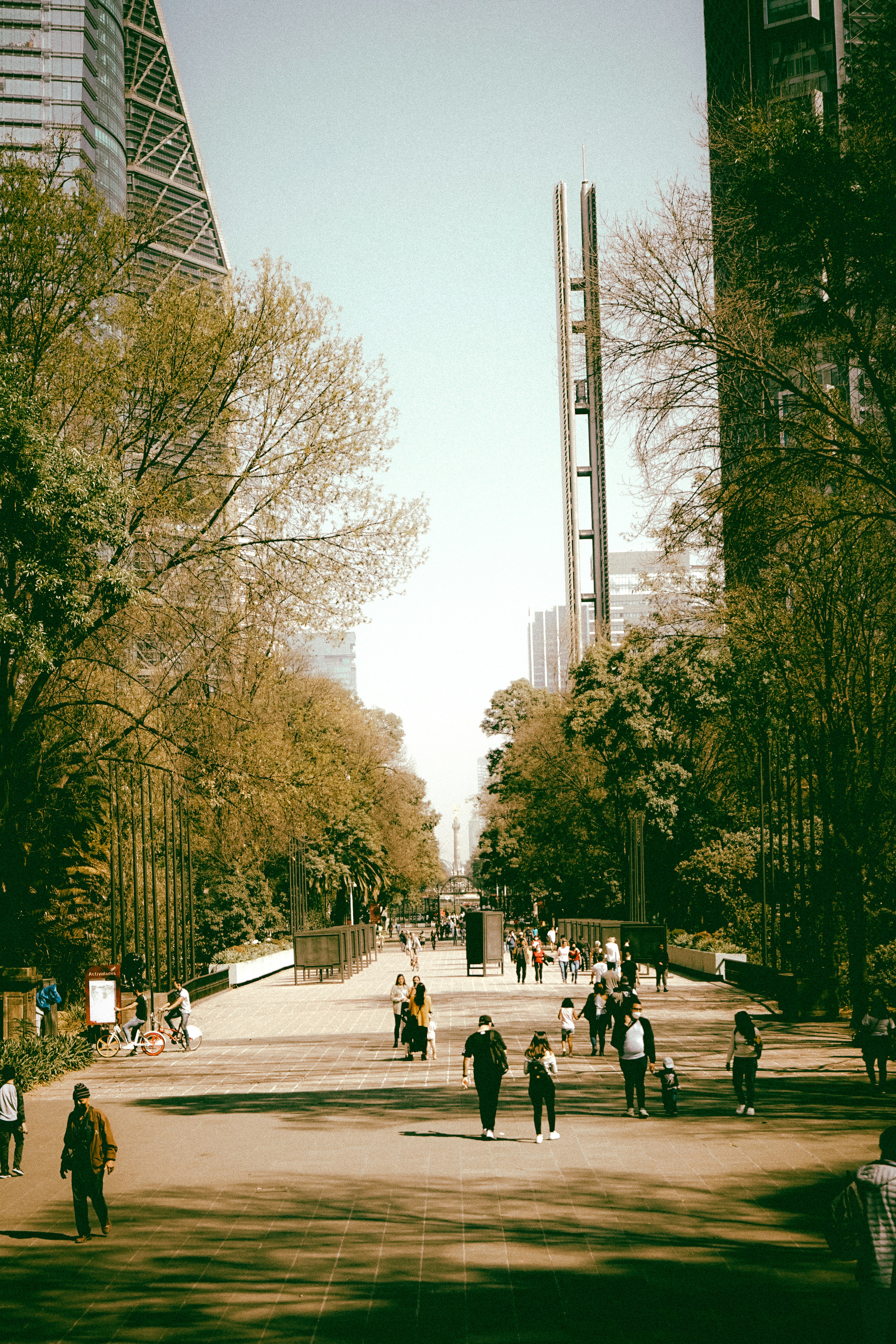 Bustling park pathway lined with trees and modern architecture, showcasing people enjoying a sunny day outdoors.
