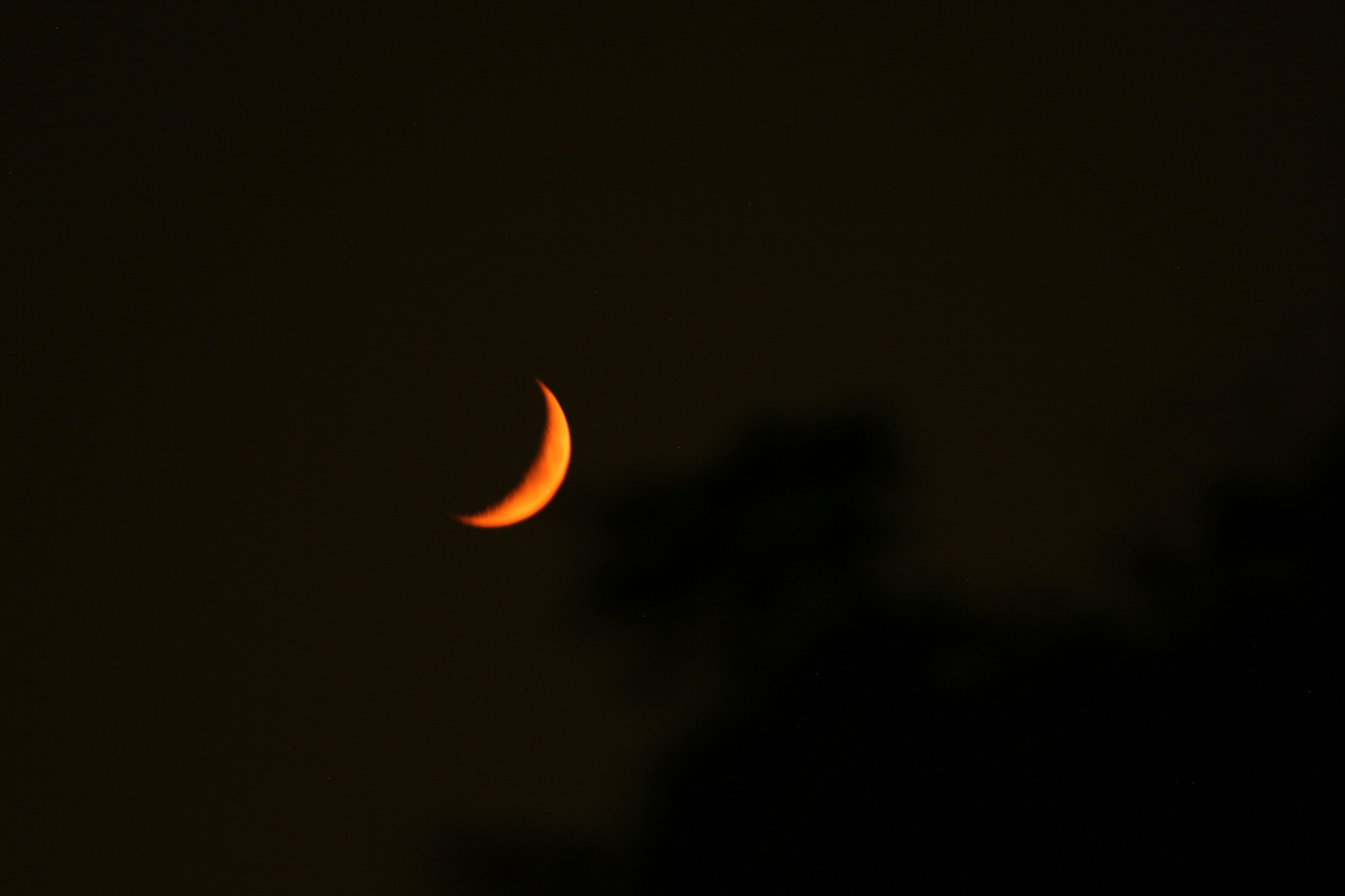 A half moon is seen in the night sky photo – Free Nature Image on Unsplash