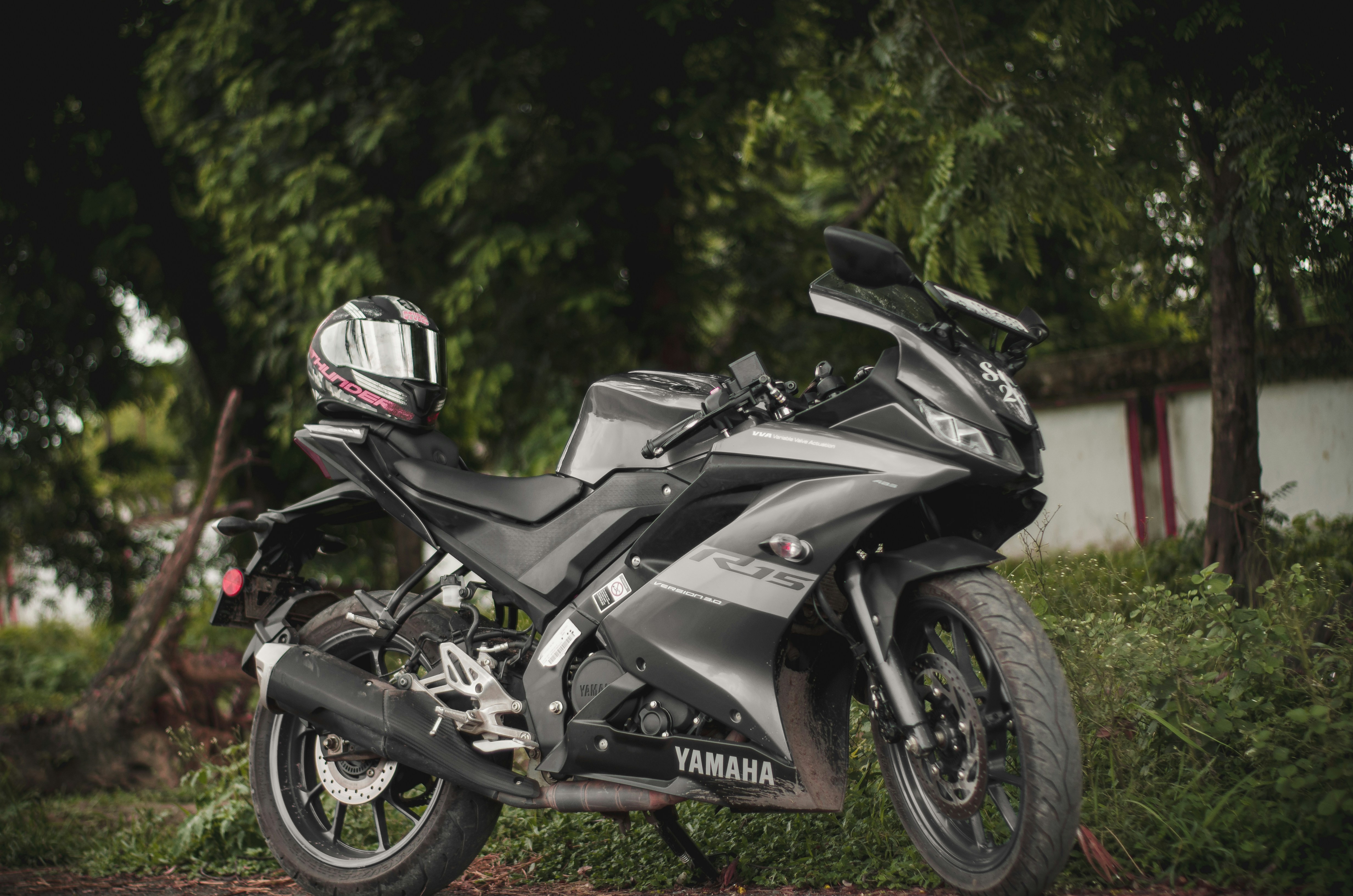 Lalmatie Photos | Télécharger des images gratuites sur Unsplash