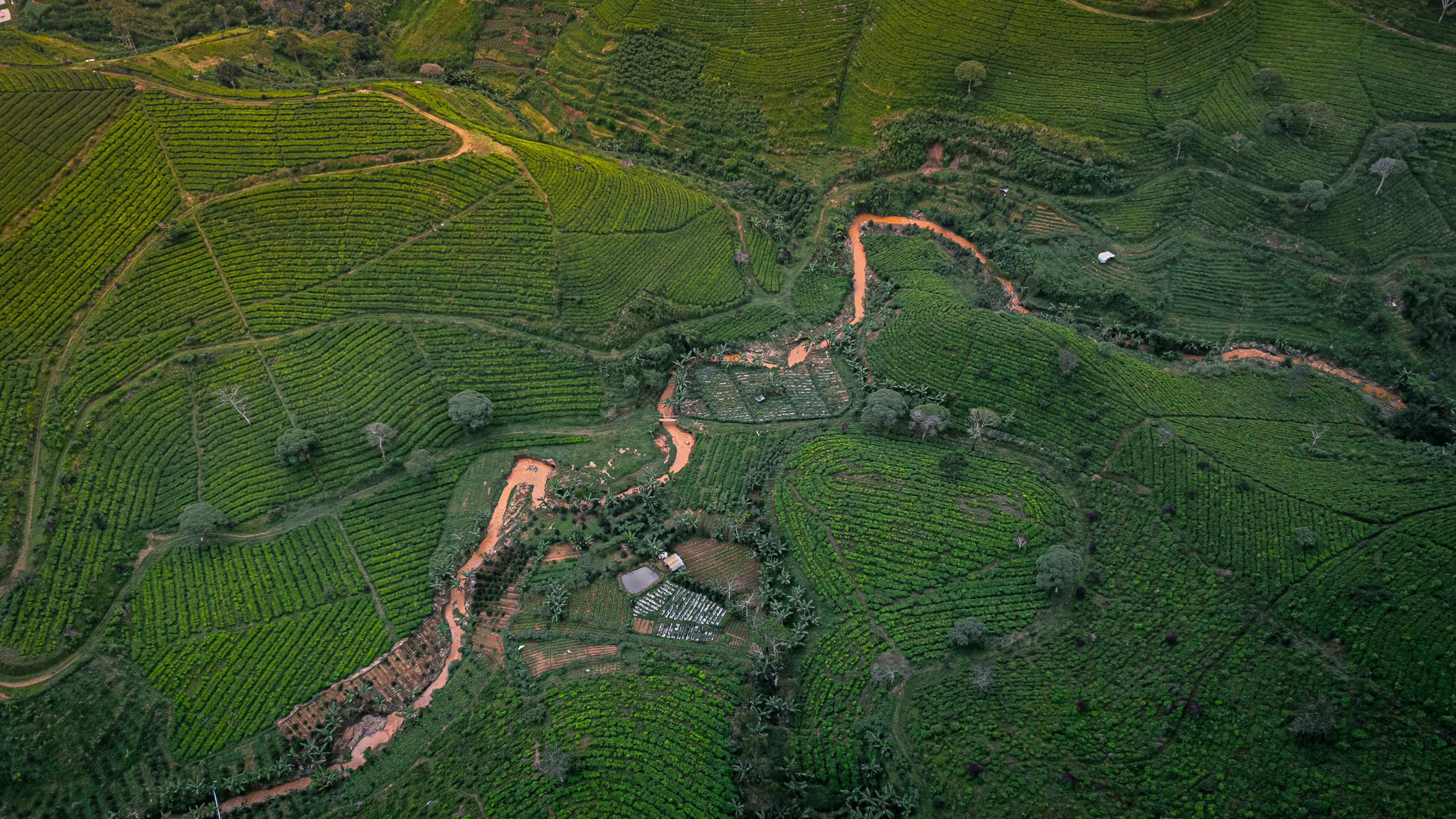 Aerial view of lush green fields and winding river, showcasing agricultural patterns and natural beauty. The scene captures the harmony between land and water.
