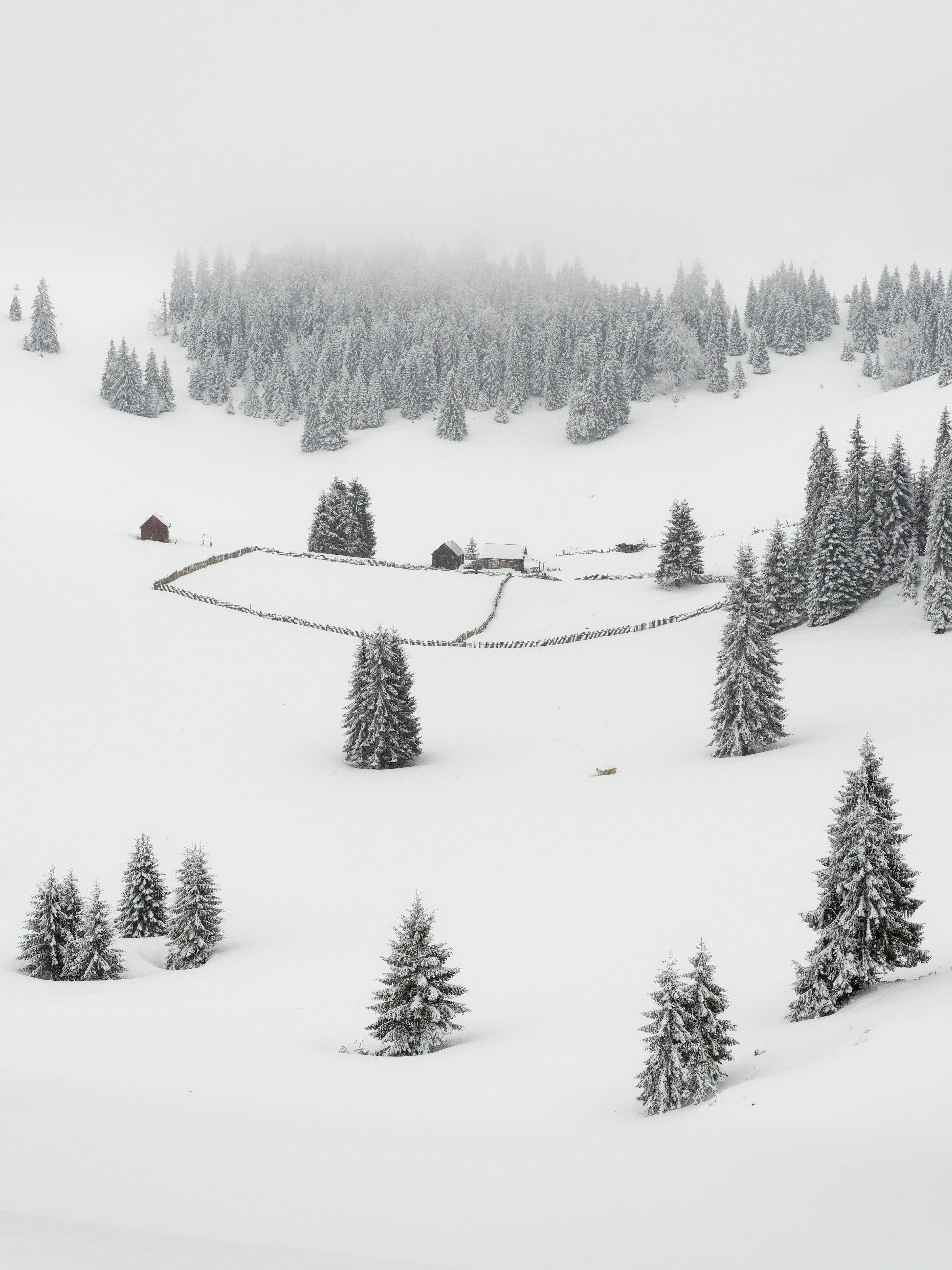 Snowbound Farmstead Beneath a Veiled Ridge