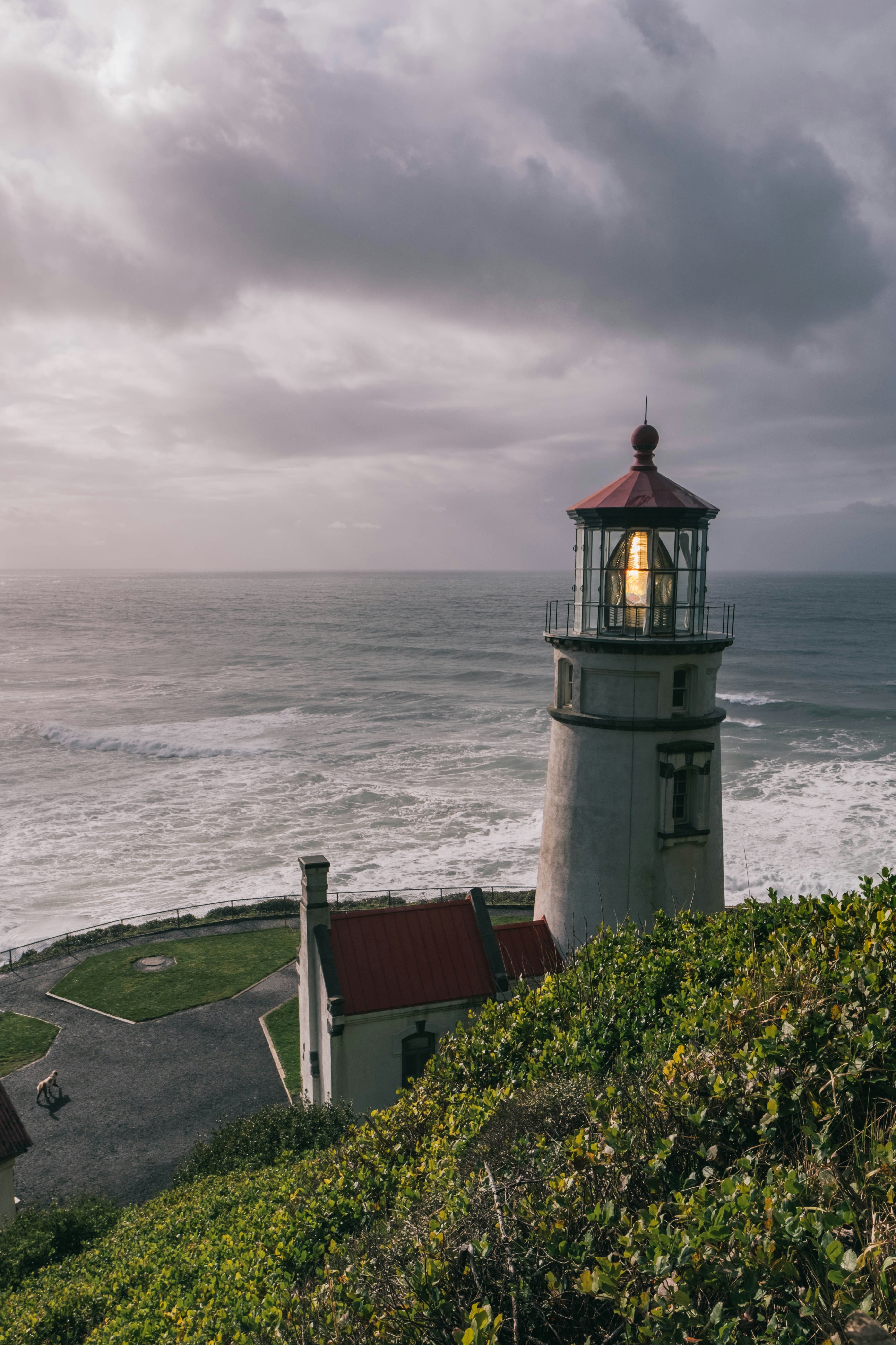 A lighthouse stands resilient against crashing waves, its light illuminating the darkening sky. Lush greenery frames the scene, adding depth to this coastal landscape.