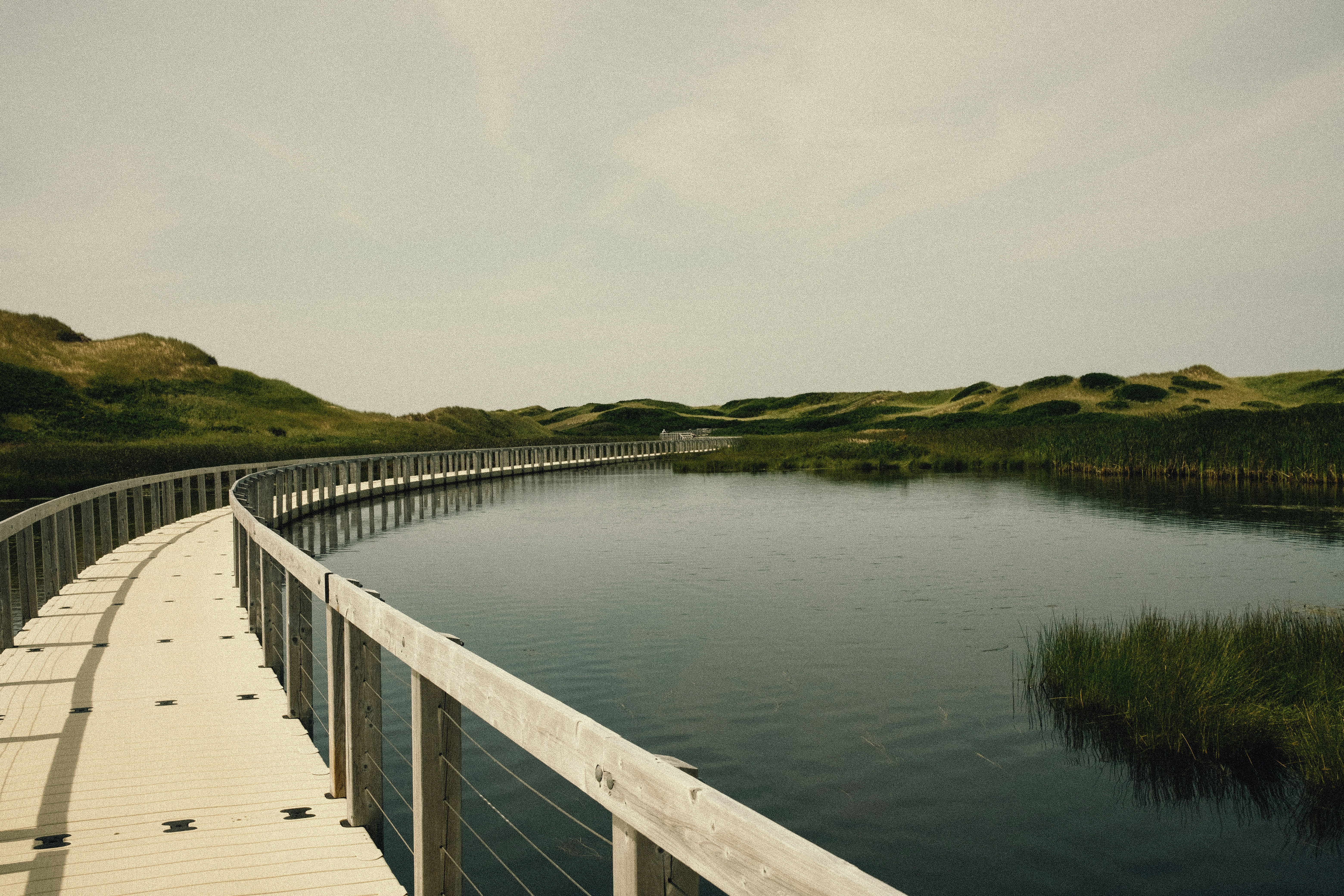 Curved Boardwalk Framing a Quiet Coastal Inlet