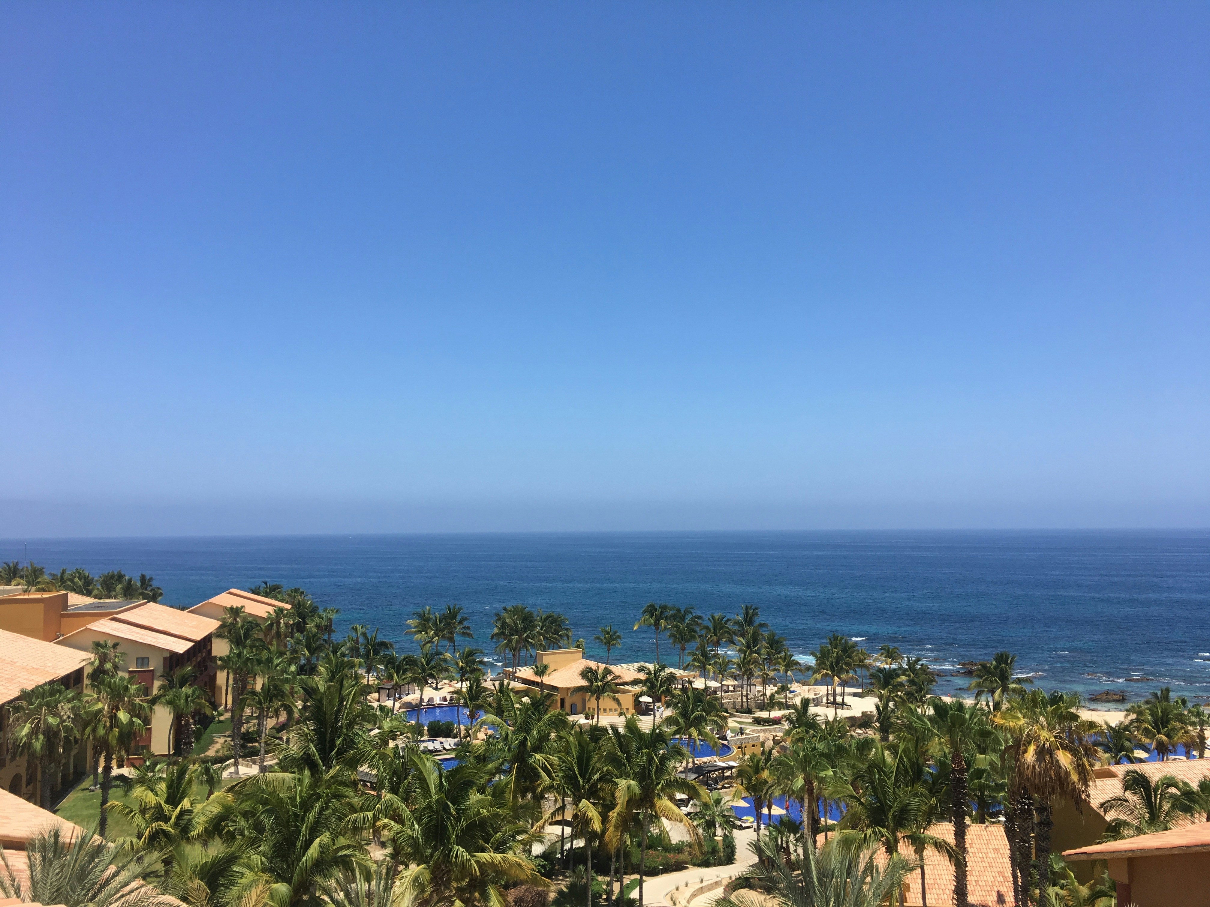 Palm trees and tan buildings nestled by the ocean under a clear blue sky.