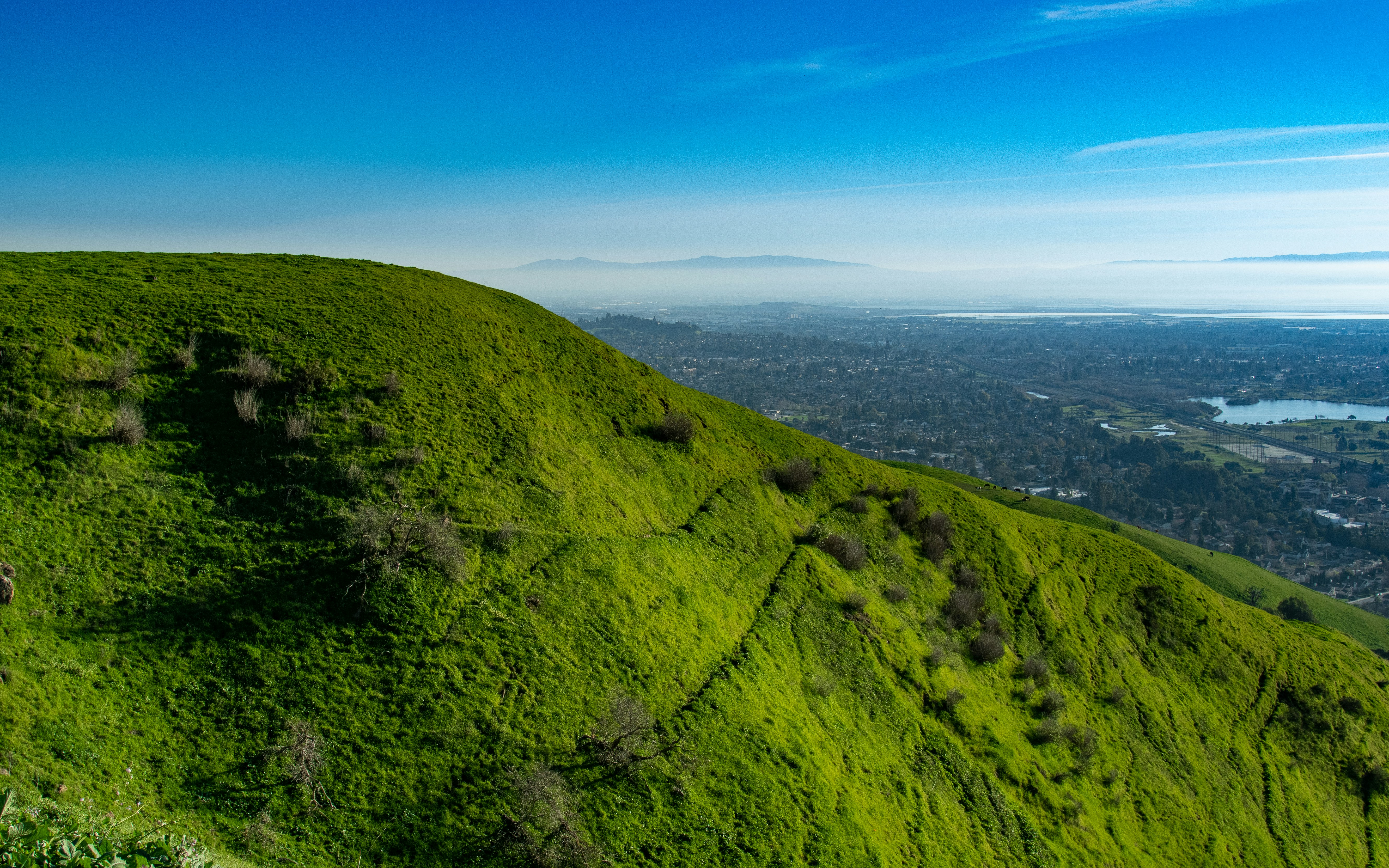Une colline verdoyante couverte de beaucoup d’herbe photo – Photo ...