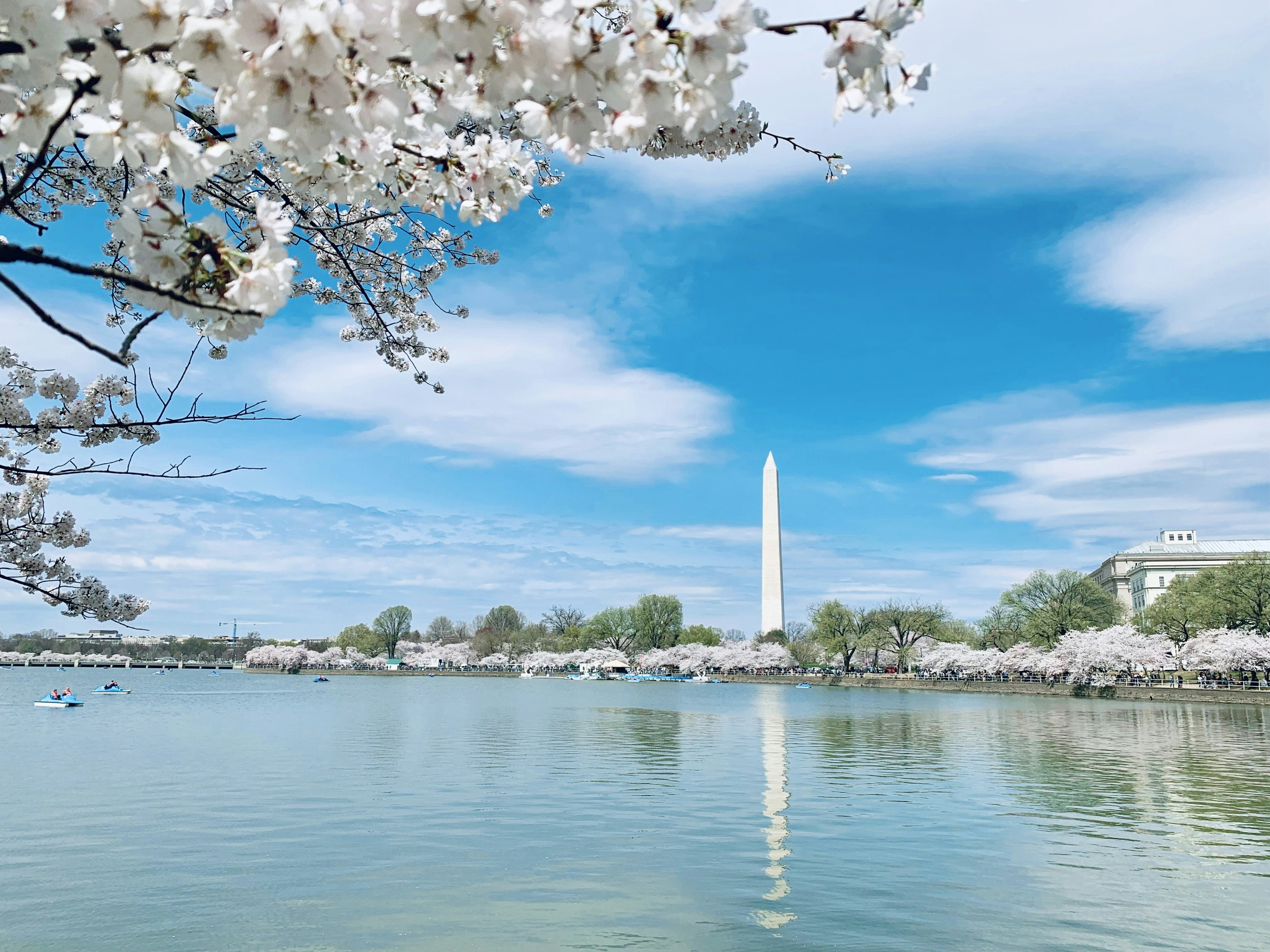 A view of the washington monument from across the water photo – Free ...