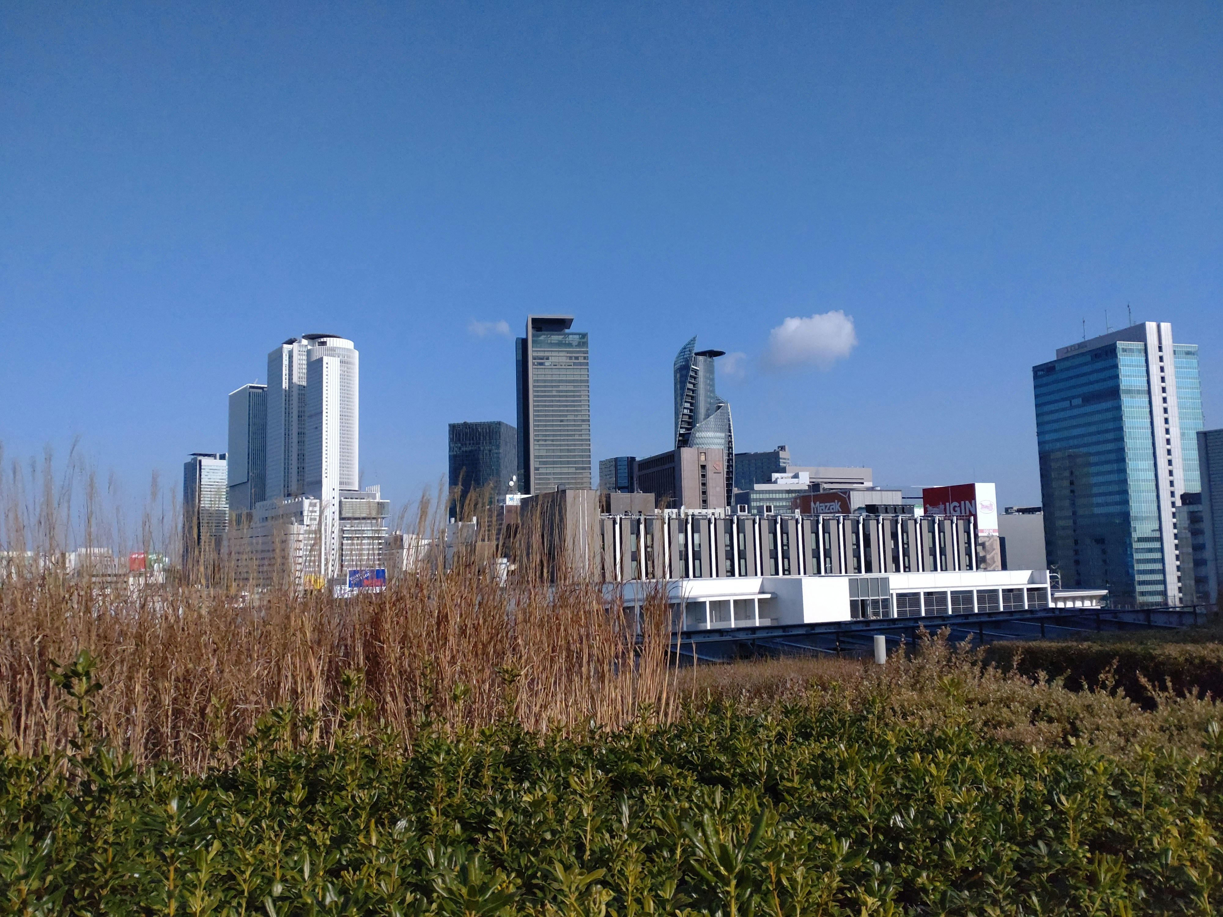 A city skyline with tall buildings in the background photo – Free City ...