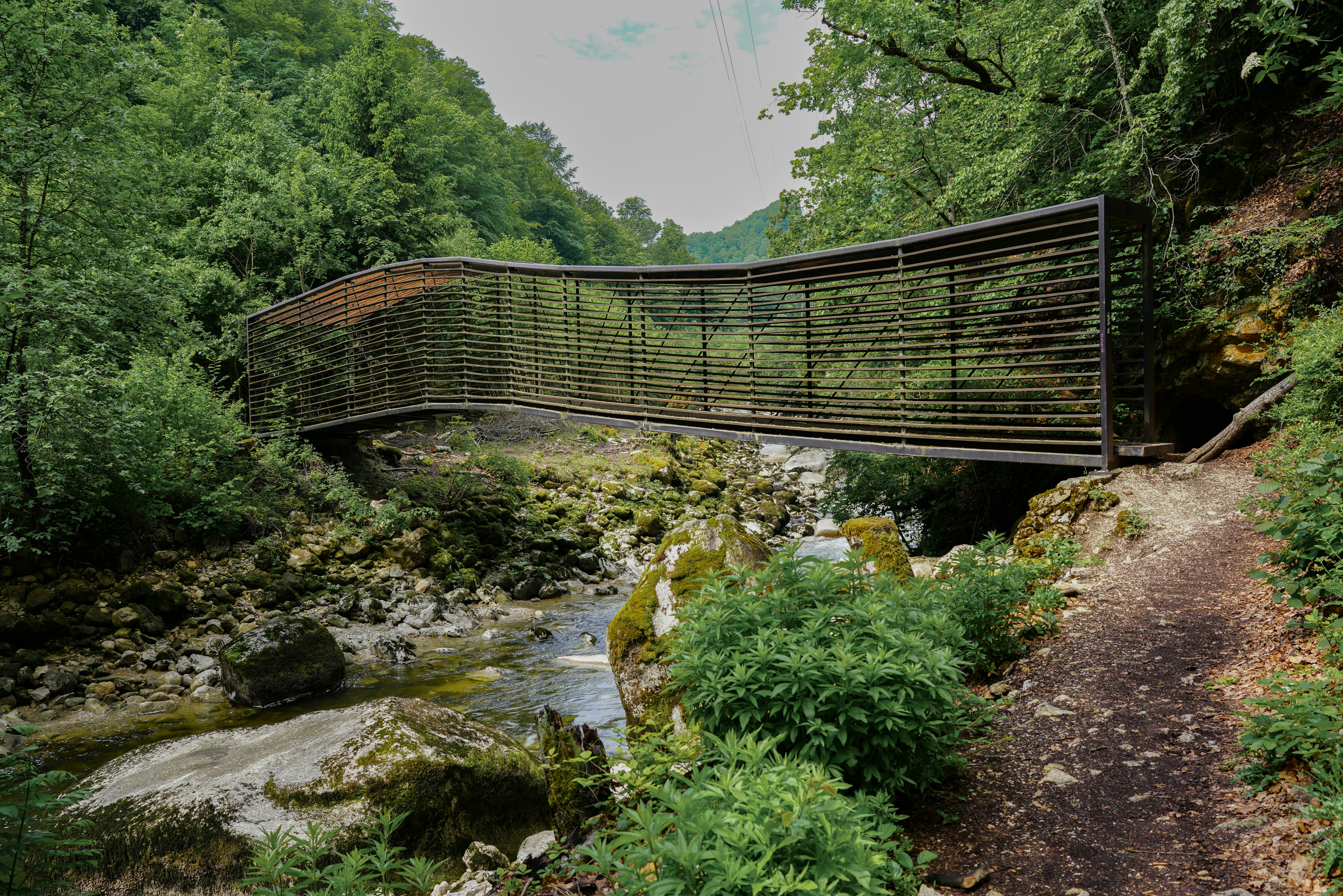 Un pont en bois au-dessus d’un ruisseau dans une forêt photo – Photo ...