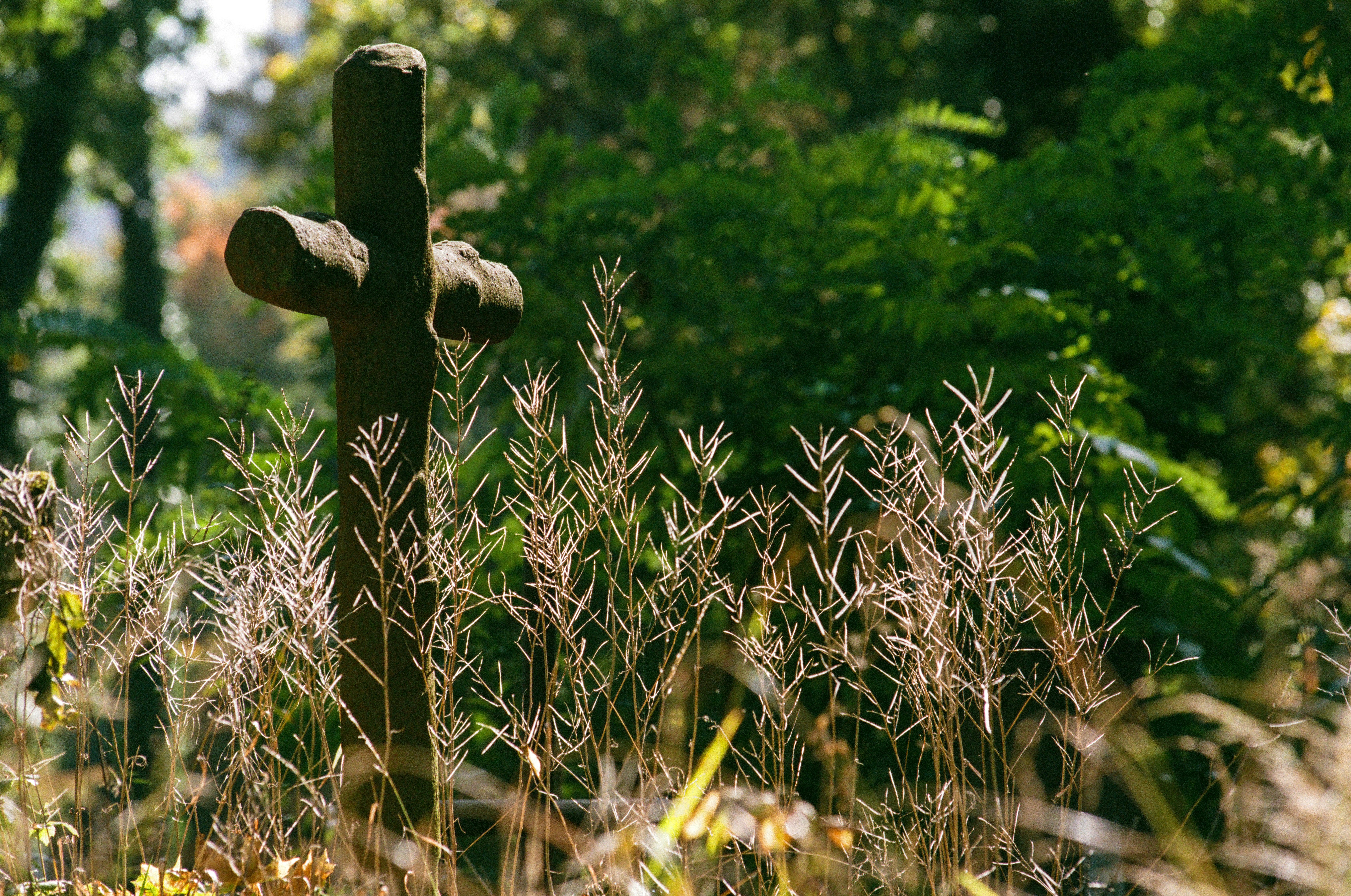 A wooden cross in a field of tall grass photo – Free Cross Image on ...