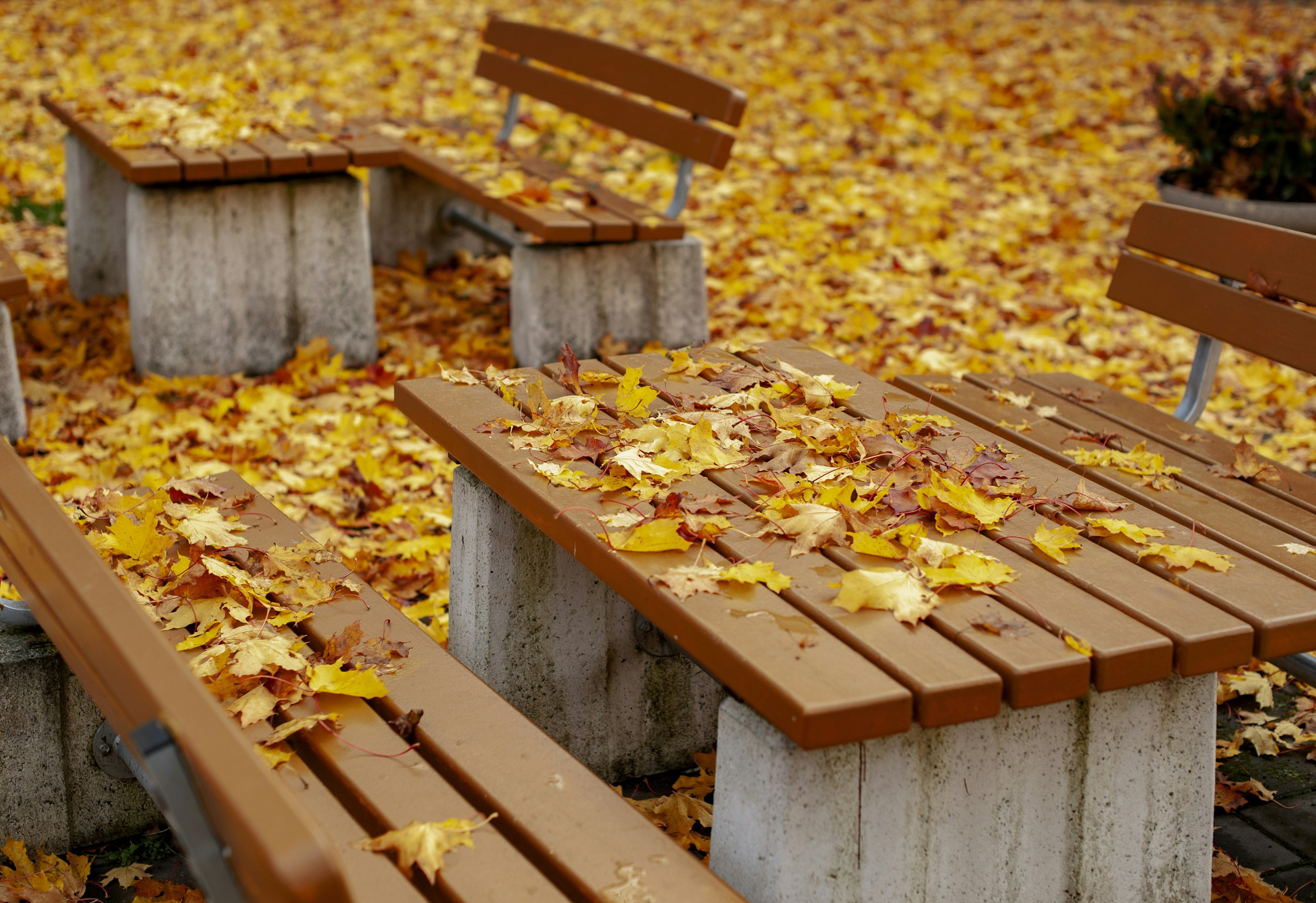a couple of wooden benches sitting next to each other