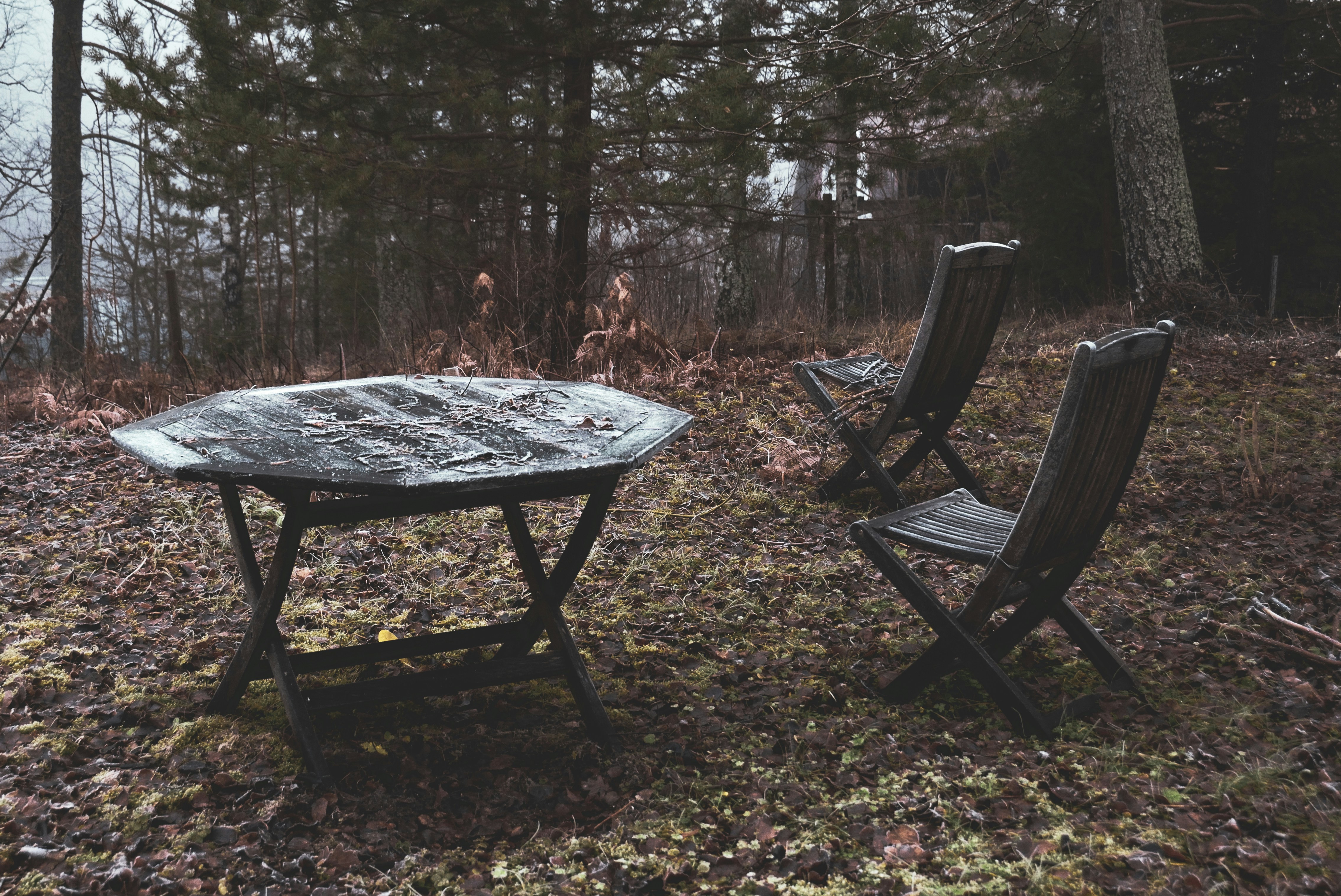 Winter Quiet: Frosted Table and Two Folded Chairs in a Forest Clearing