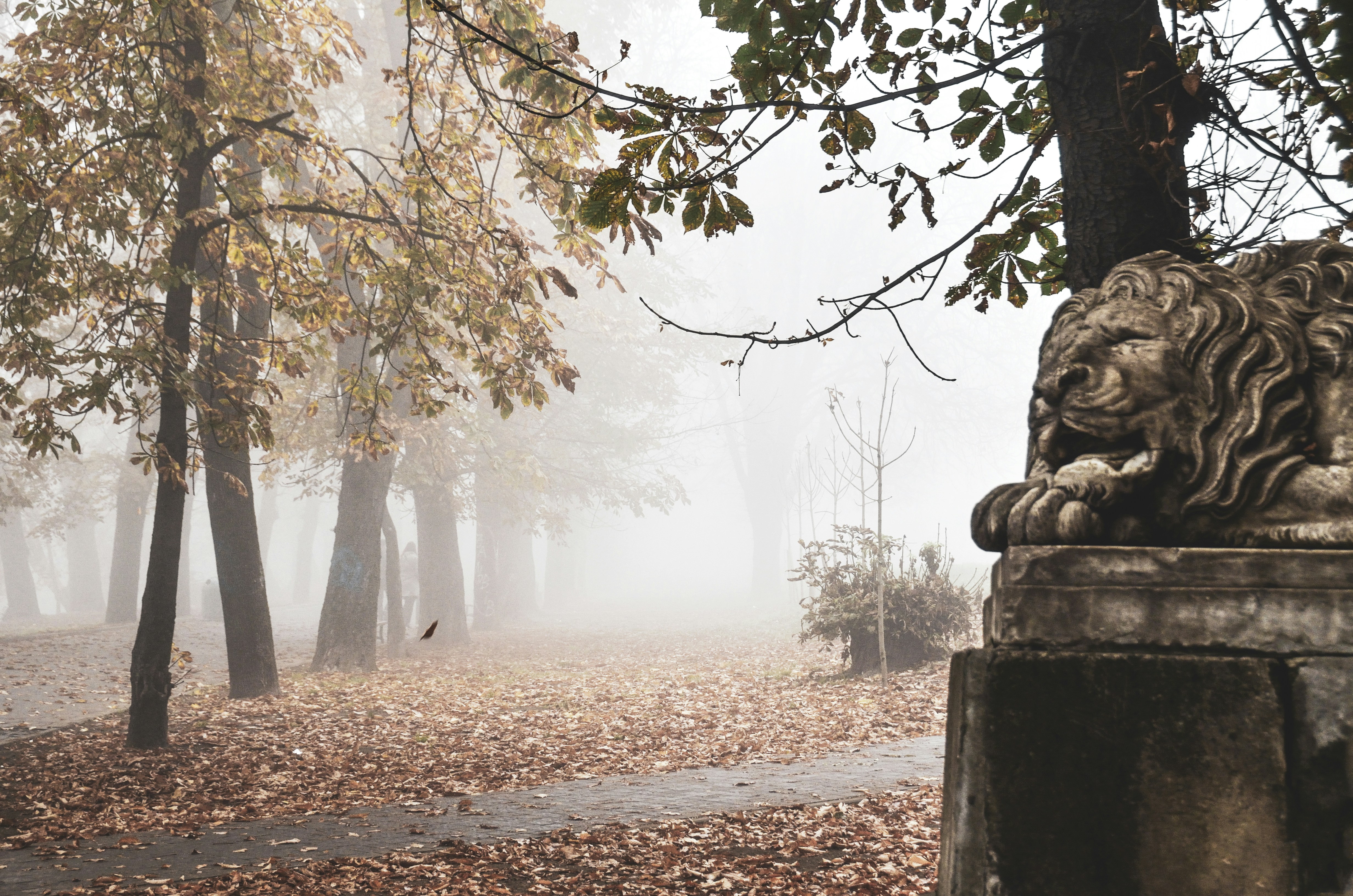 Fog-kissed avenue guarded by a stone lion