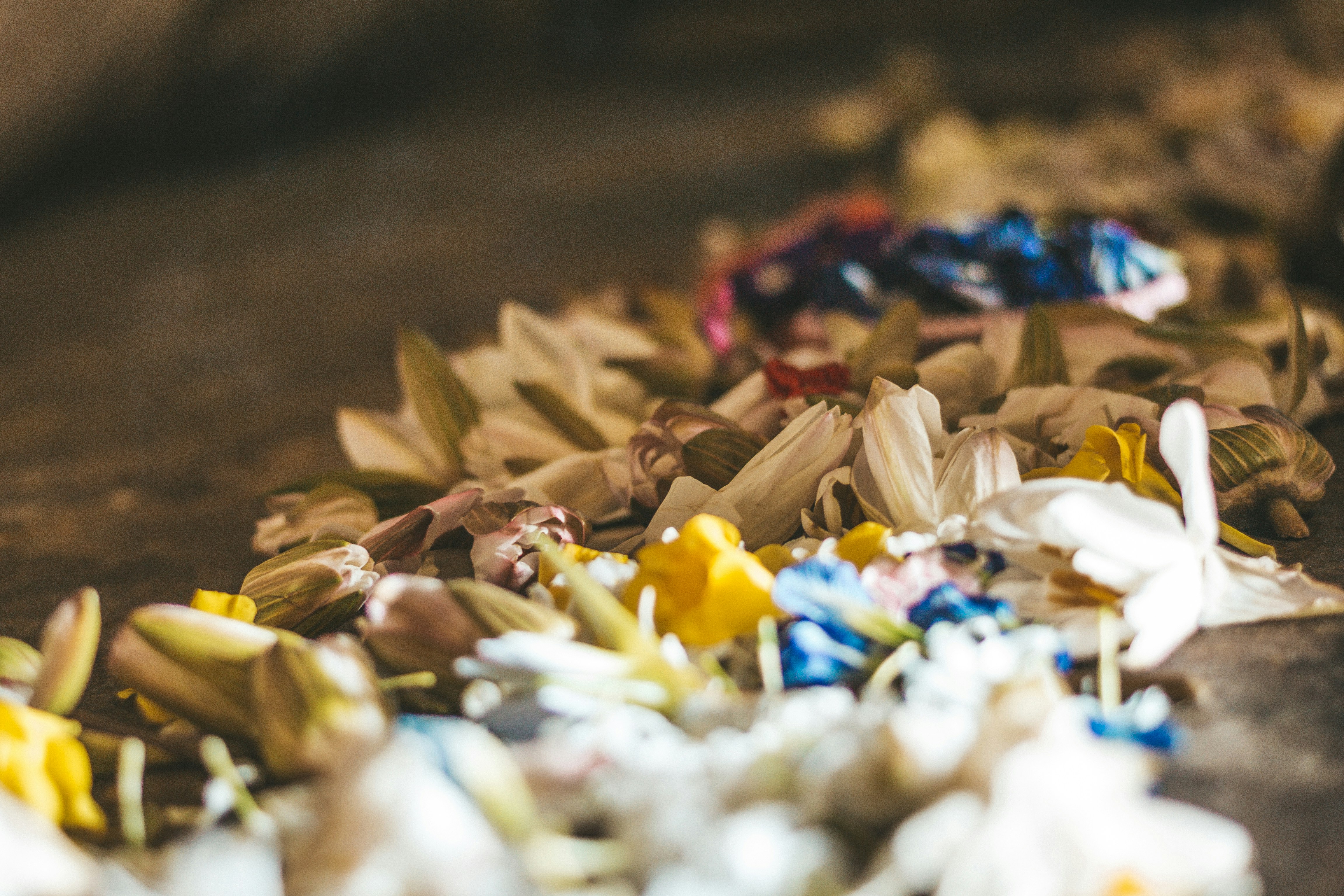 A vibrant array of fallen flower petals scattered on a rustic surface, showcasing a blend of colors and textures. The scene evokes a sense of nostalgia and beauty.