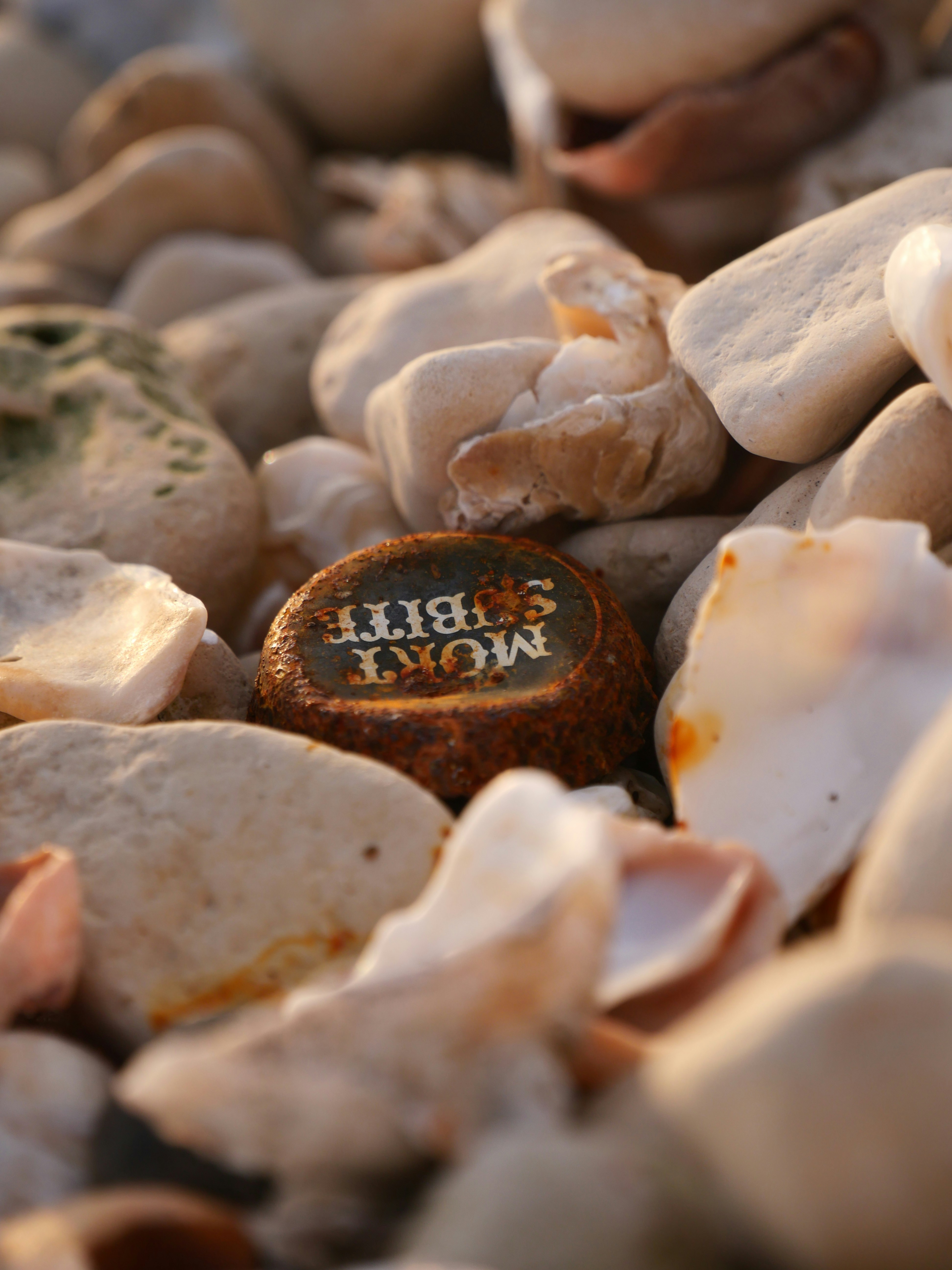a rock with a sign that says hell wolf on it