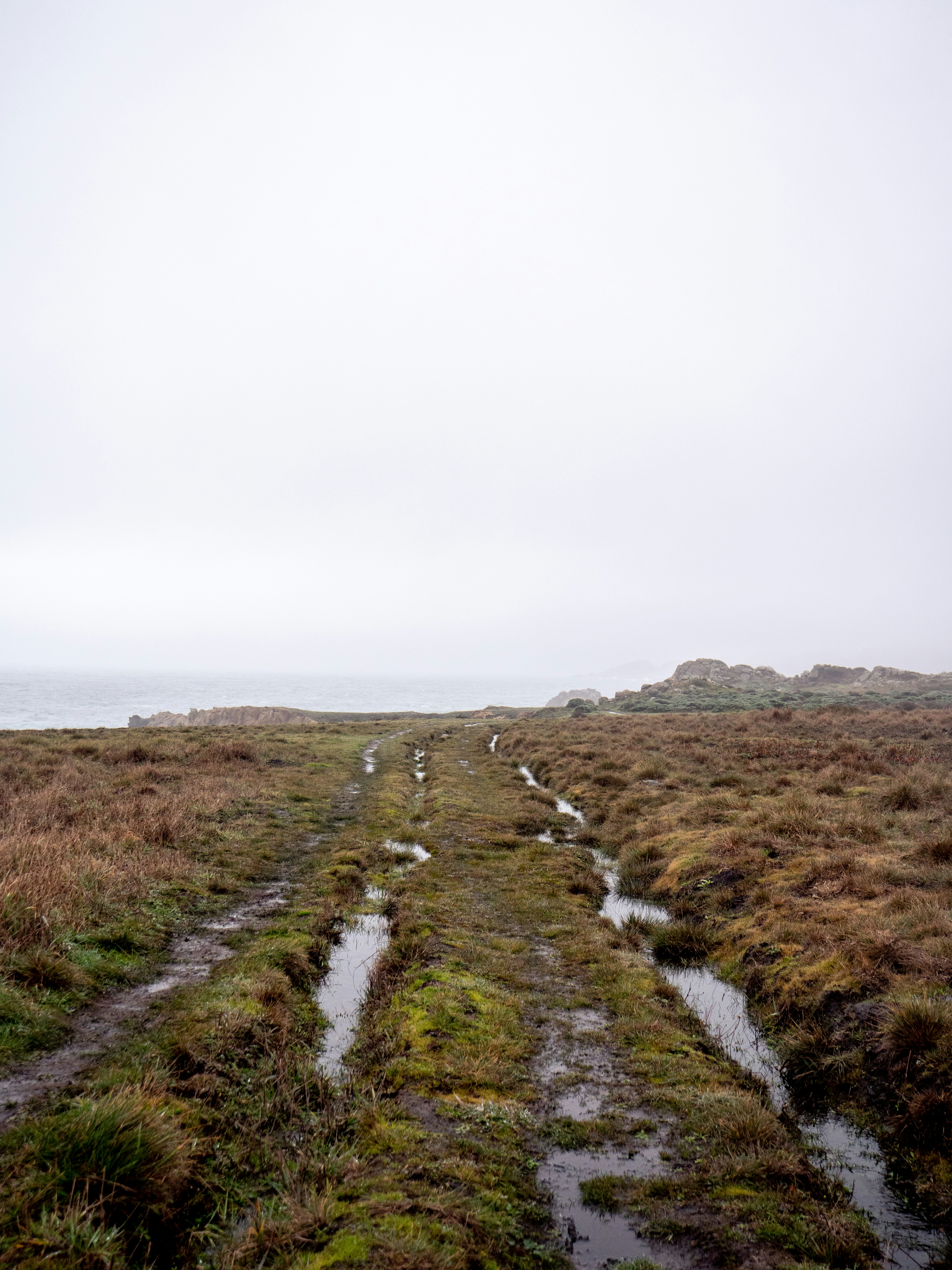 A muddy path in the middle of a grassy field photo – Free Salt point ...