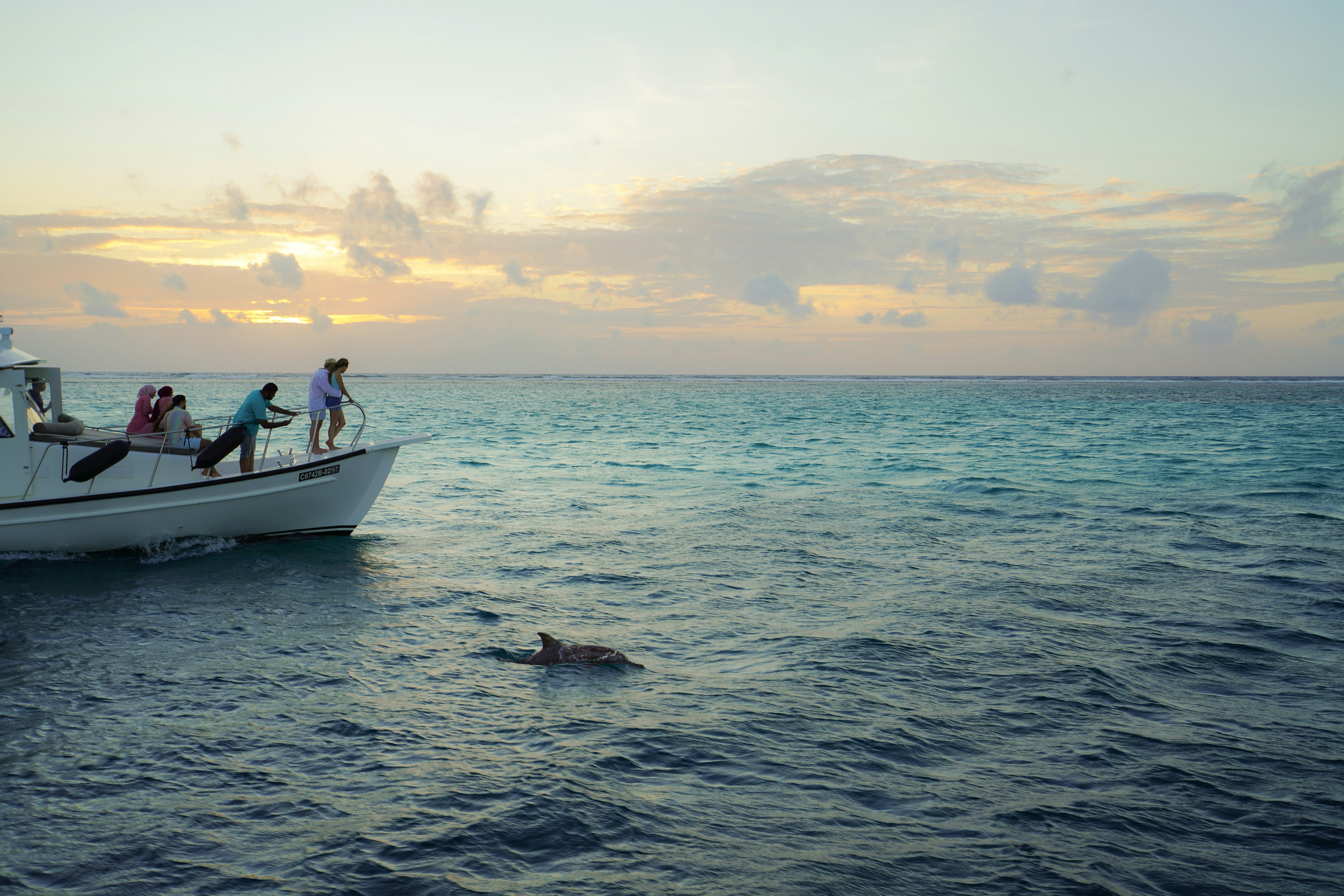 Group of people on a boat observing a dolphin swimming in the ocean during sunset. The vibrant sky reflects on the water, enhancing the serene atmosphere.