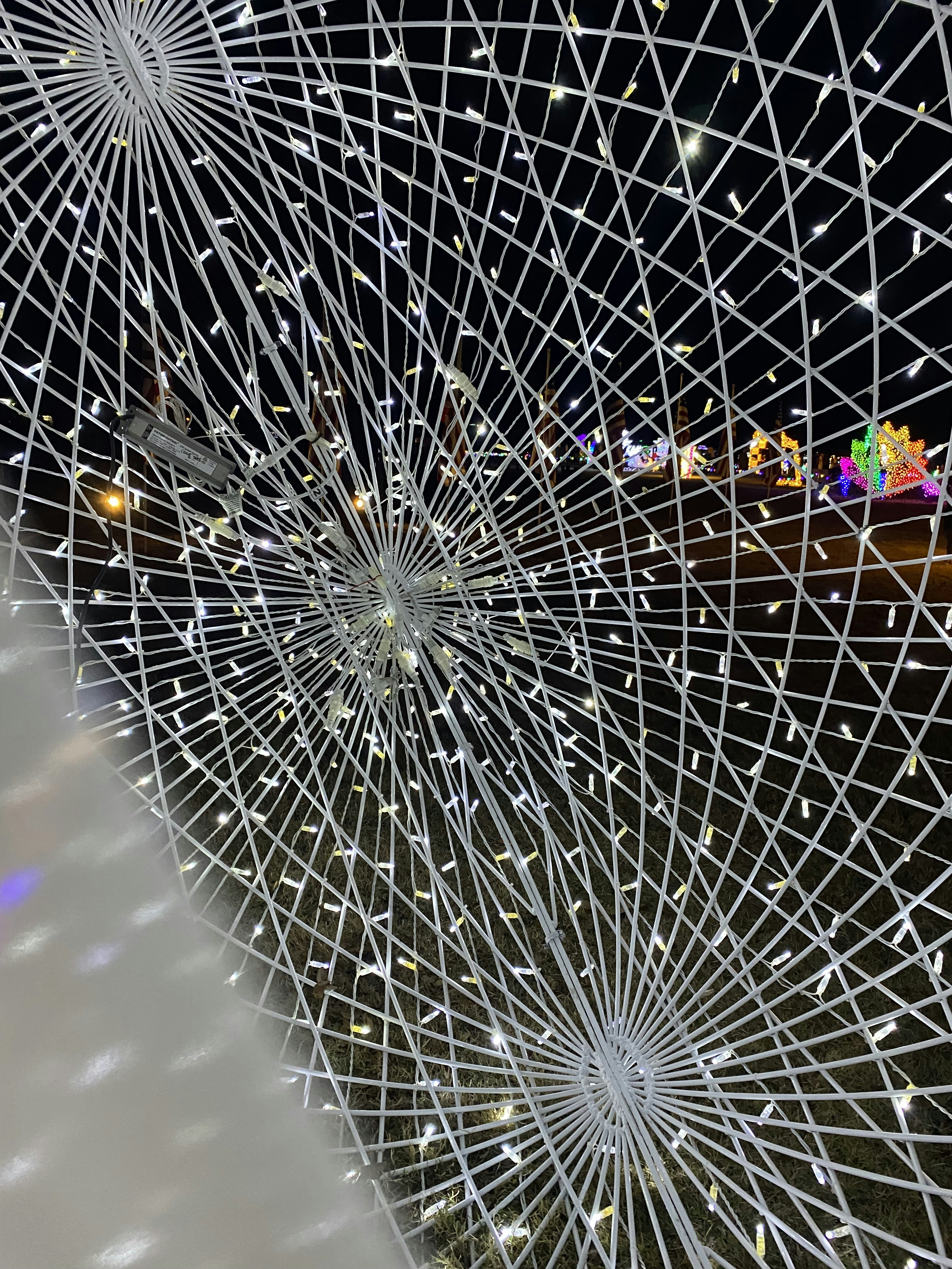 carsyn Damron (@carsyndamron) | Unsplash 사진 커뮤니티