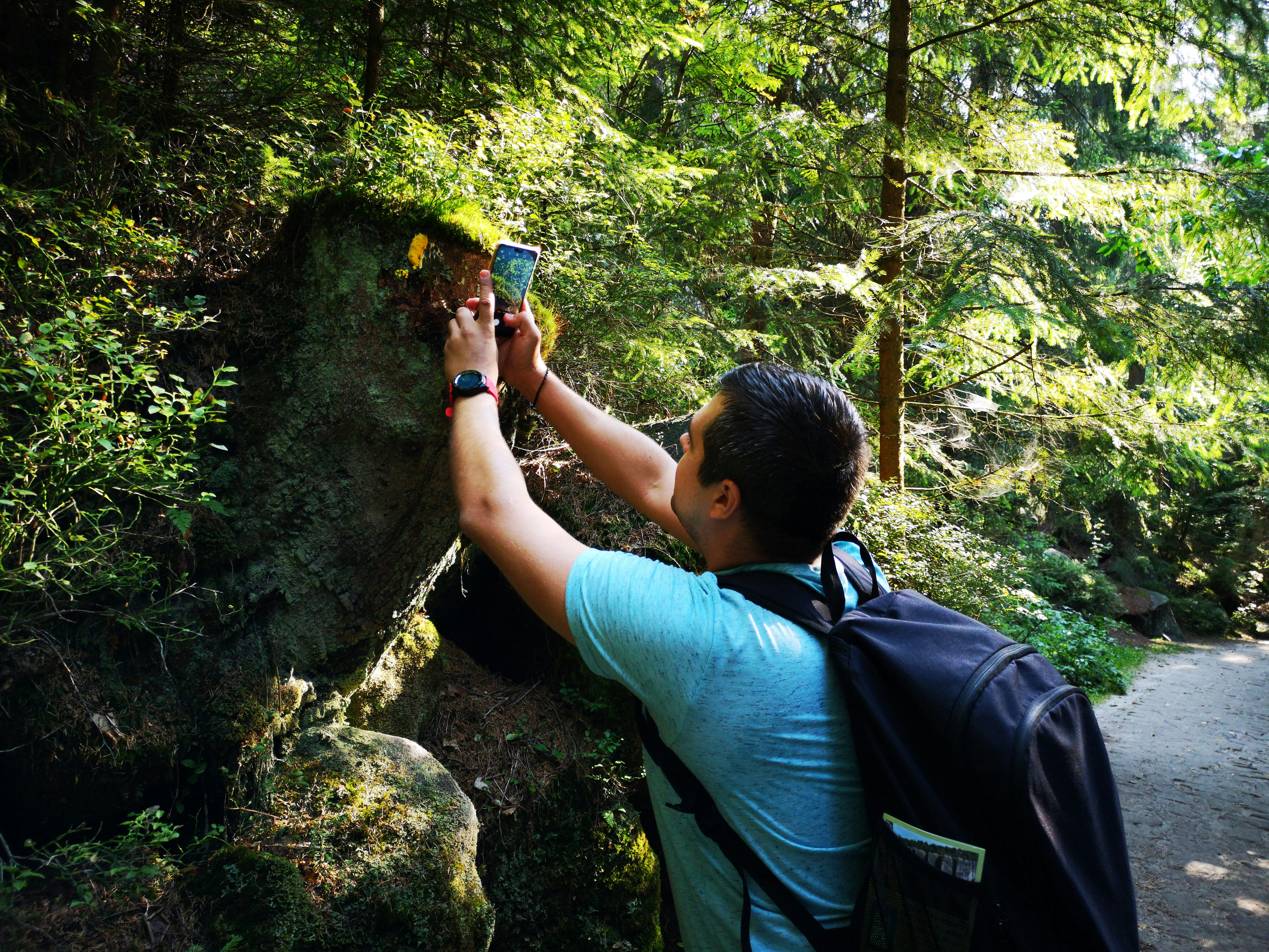 a man taking a picture of a tree in the woods