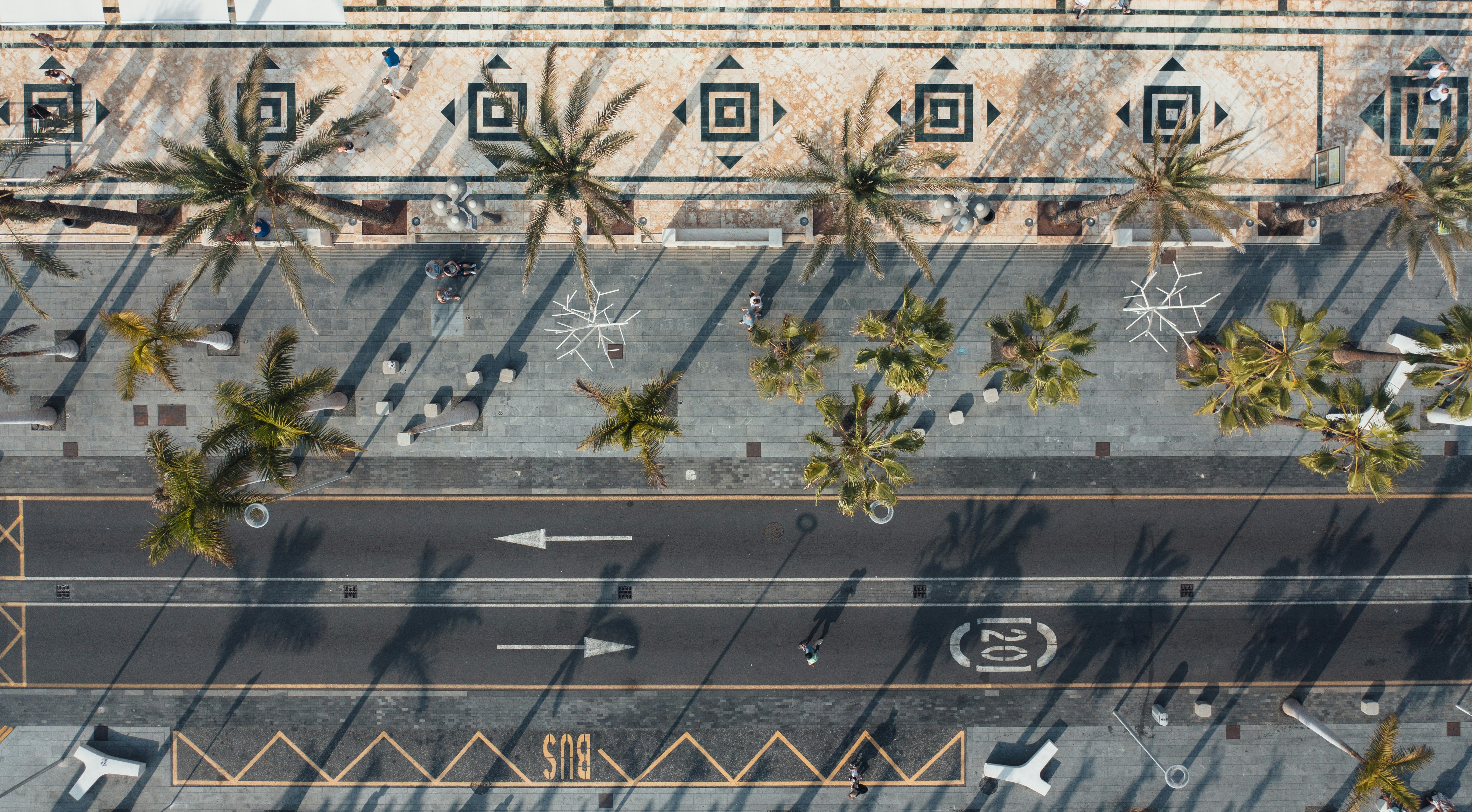 City of Los Cristianos, Tenerife.