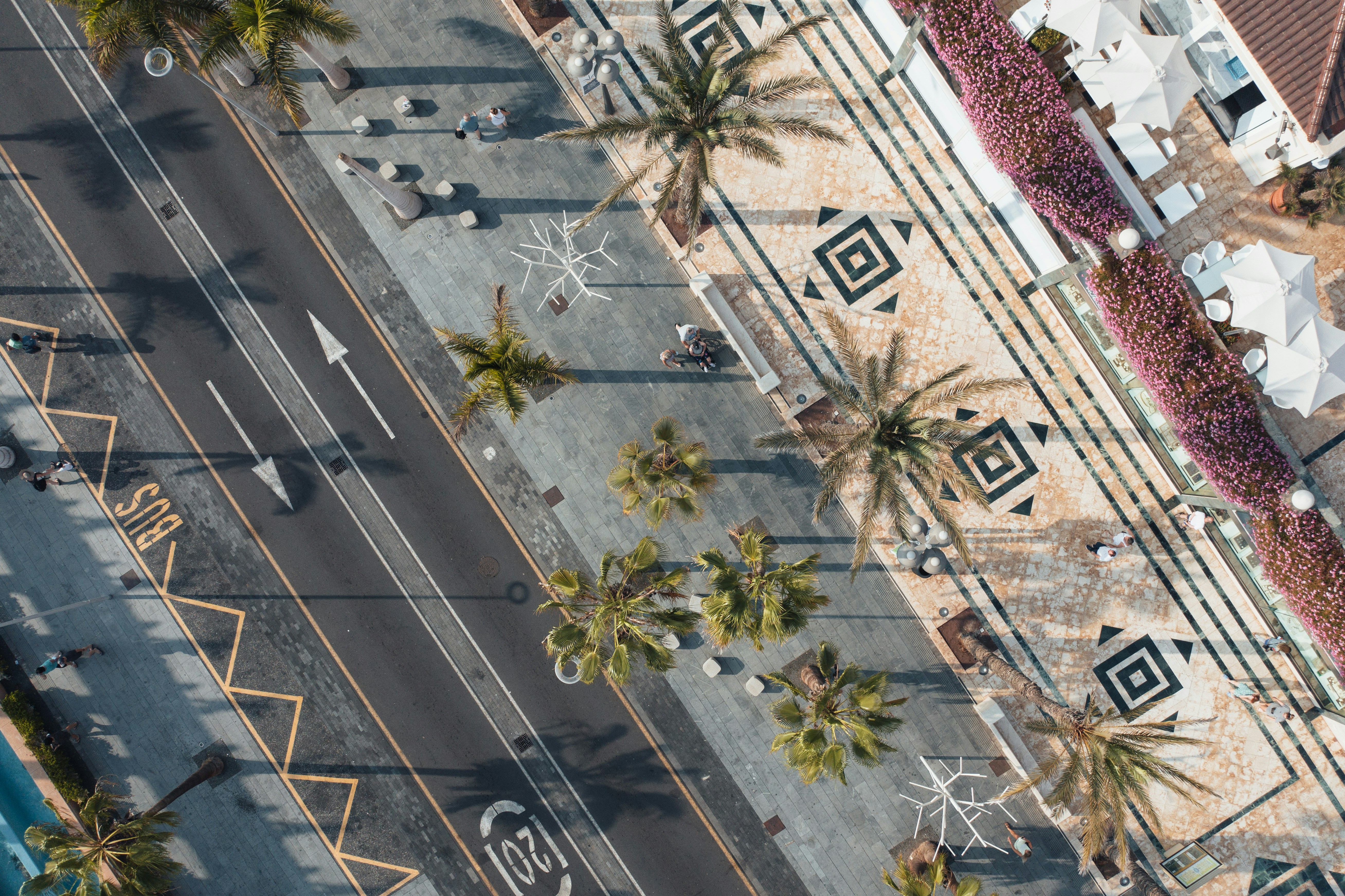 Palm Arches and Diamond Tiles: A Bird's-Eye View of a Coastal Plaza