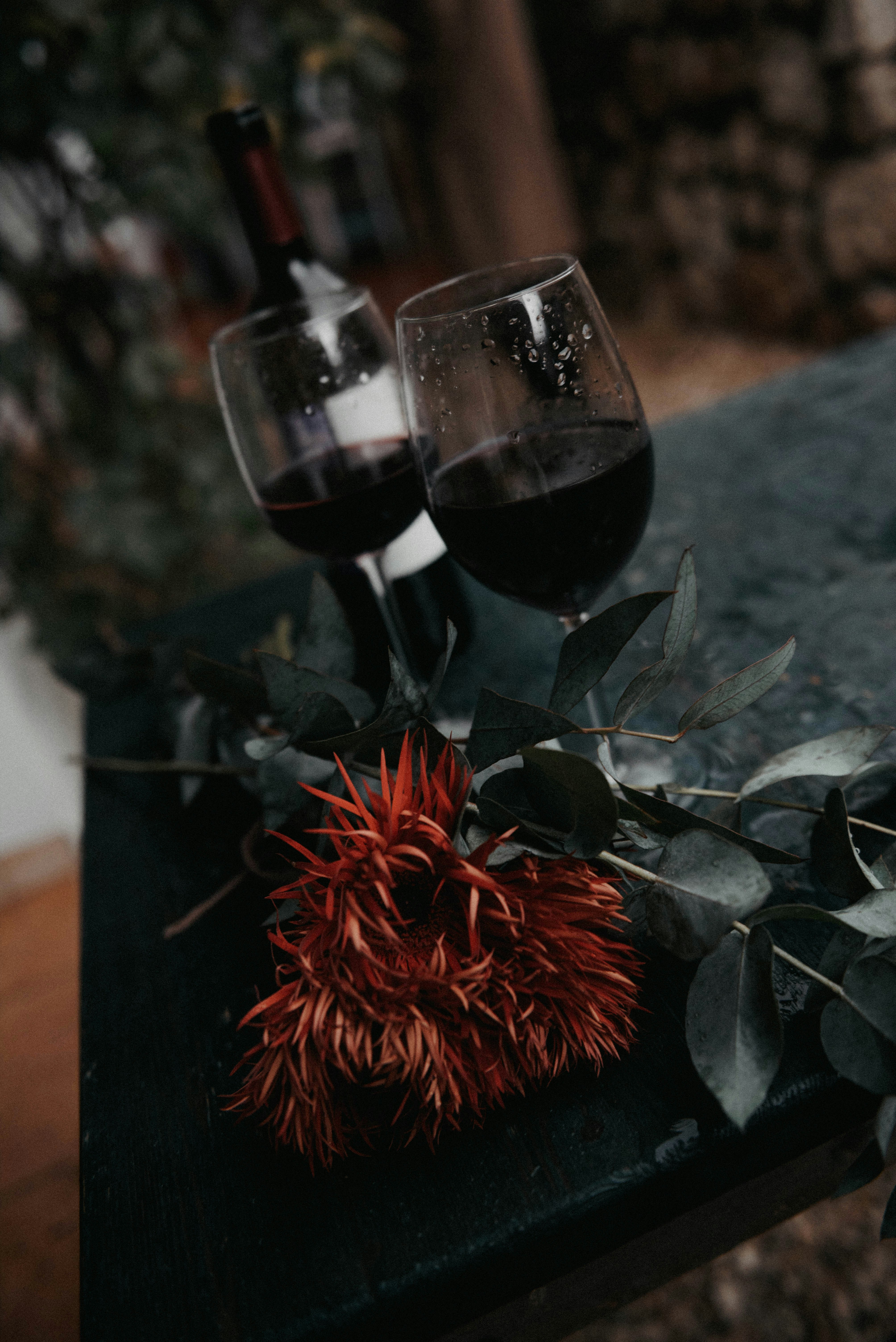 Crimson Bloom and Two Glasses of Red