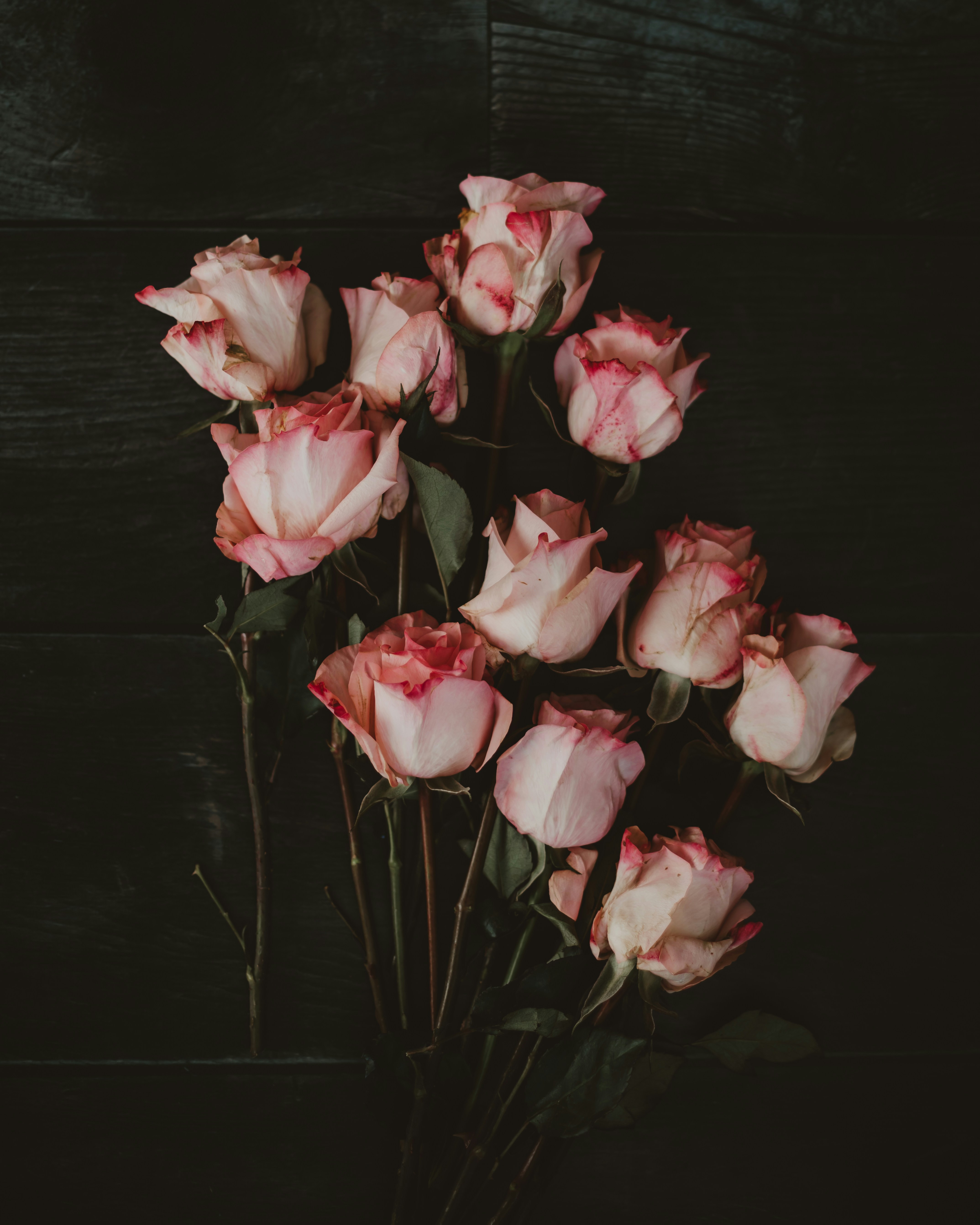 Vintage Roses Tumblr Wallpaper