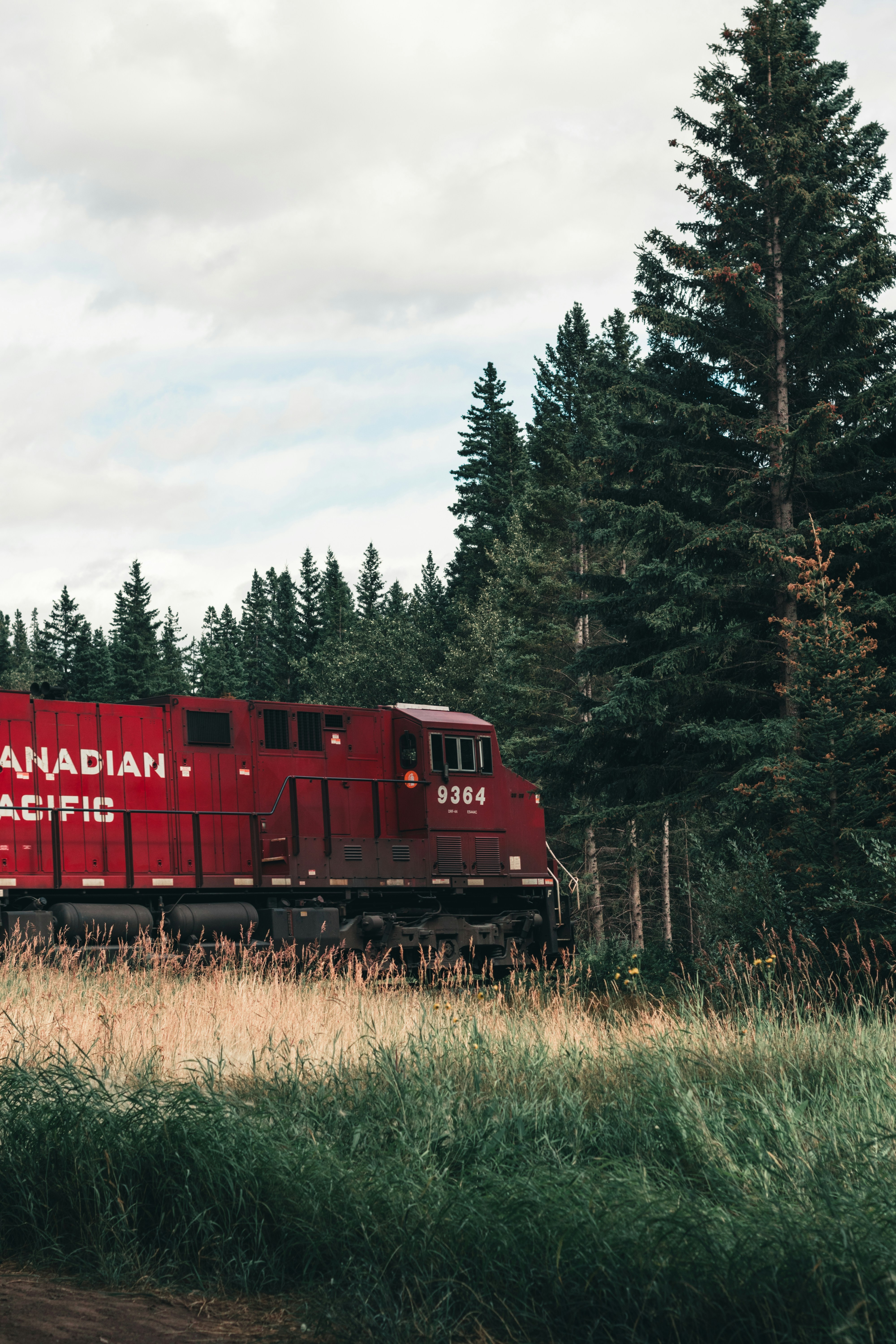 The Canadian Pacific Railway just cutting through the park