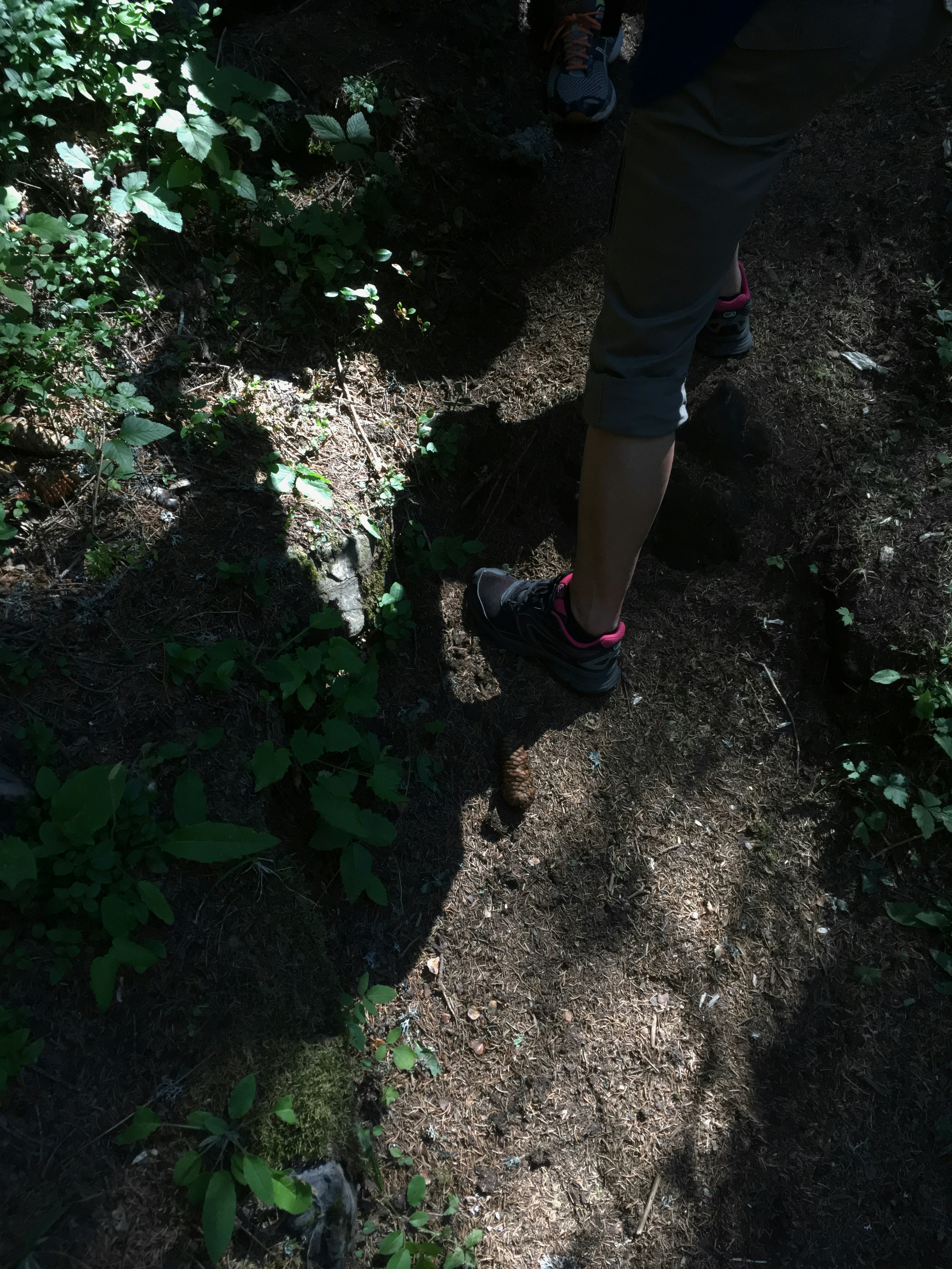 a person walking on a trail in the woods