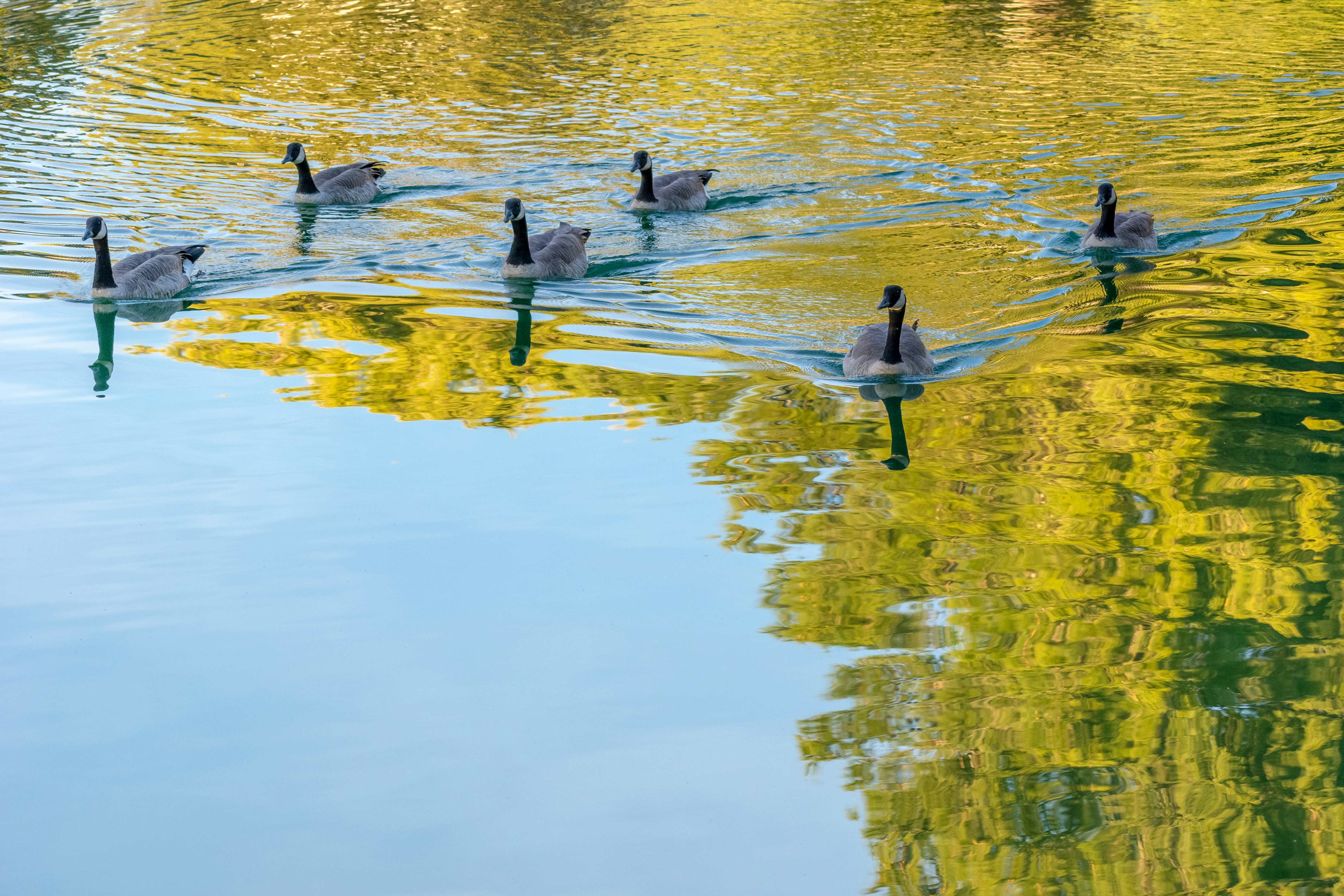 Sample photo from Nikon D7100