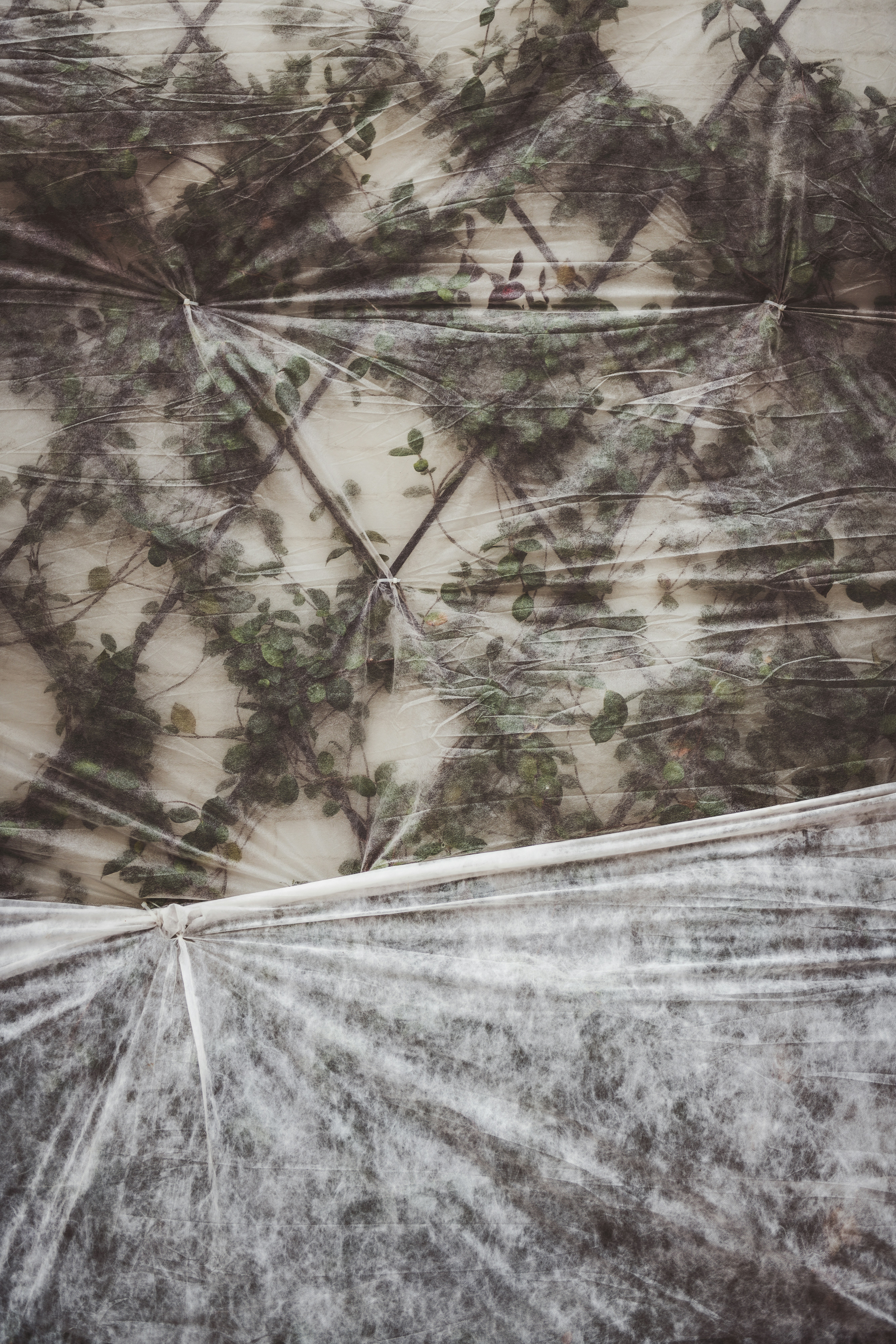 I was visiting Magnolia Market just after they had frost-protected their gardens from a cold snap. The added texture of the fabric caught my eye. 