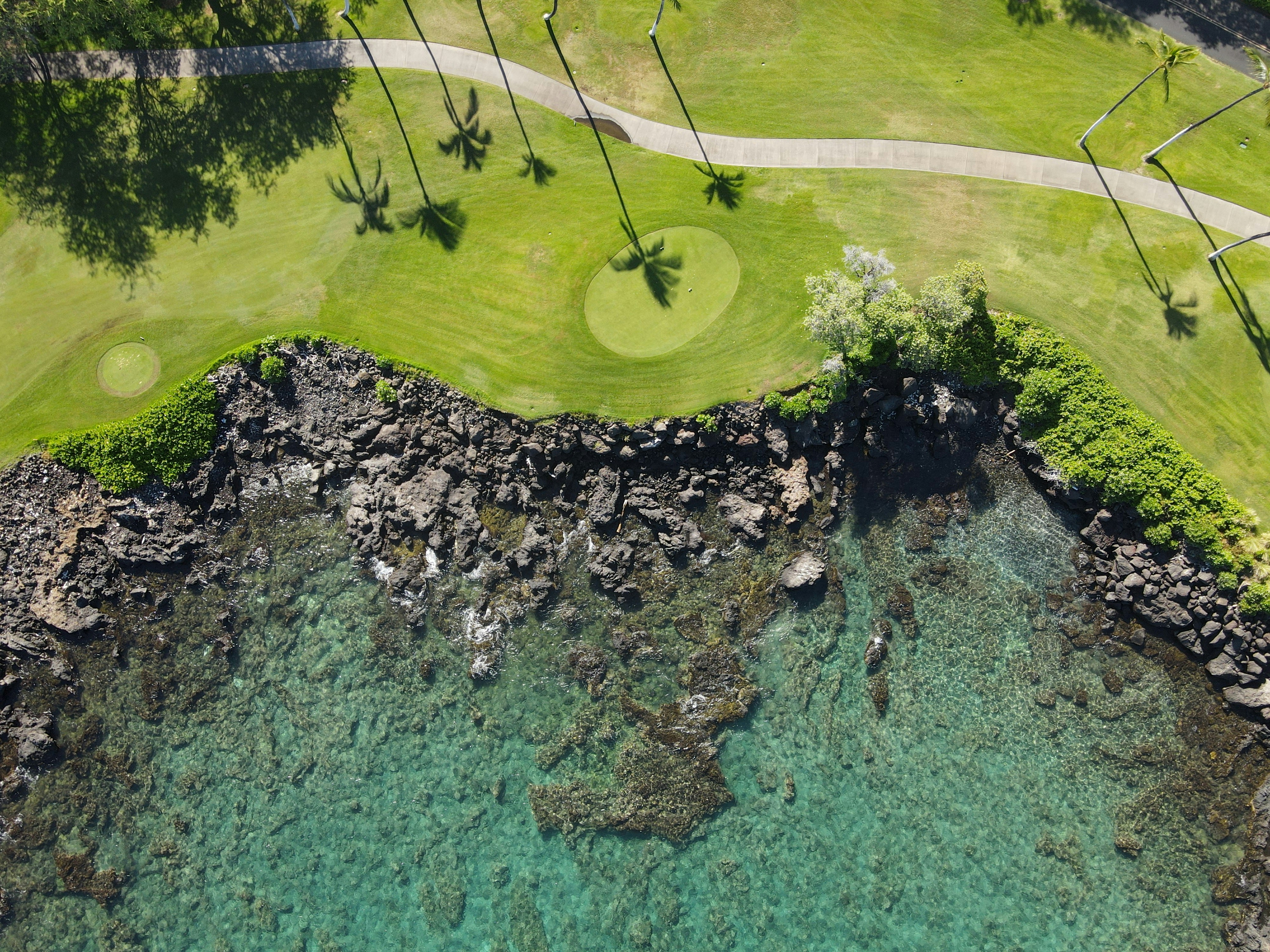 An aerial view of a golf course and water photo – Free Hawaii Image on ...