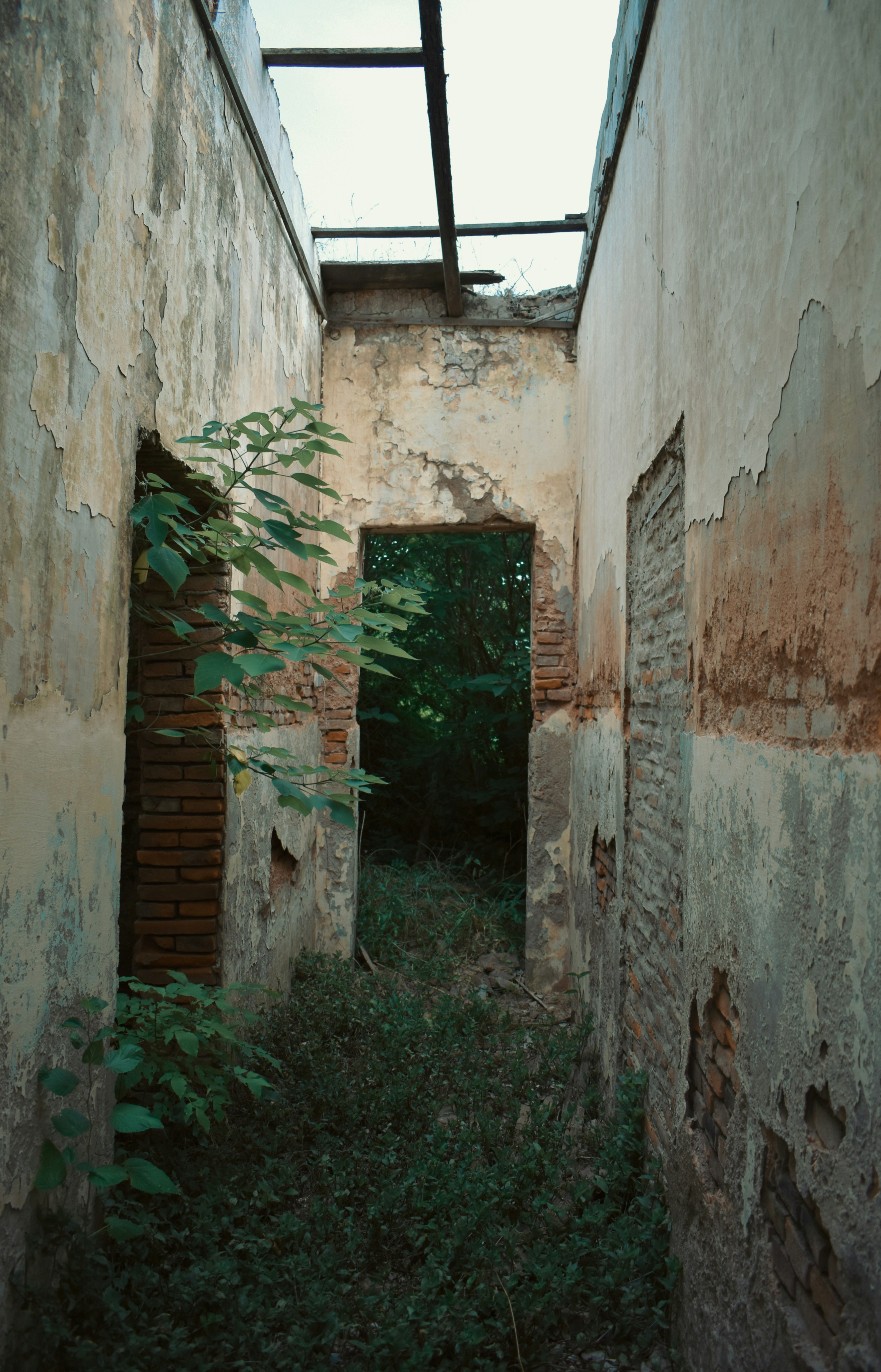 An old run down building with a green door photo – Free Bunker Image on ...