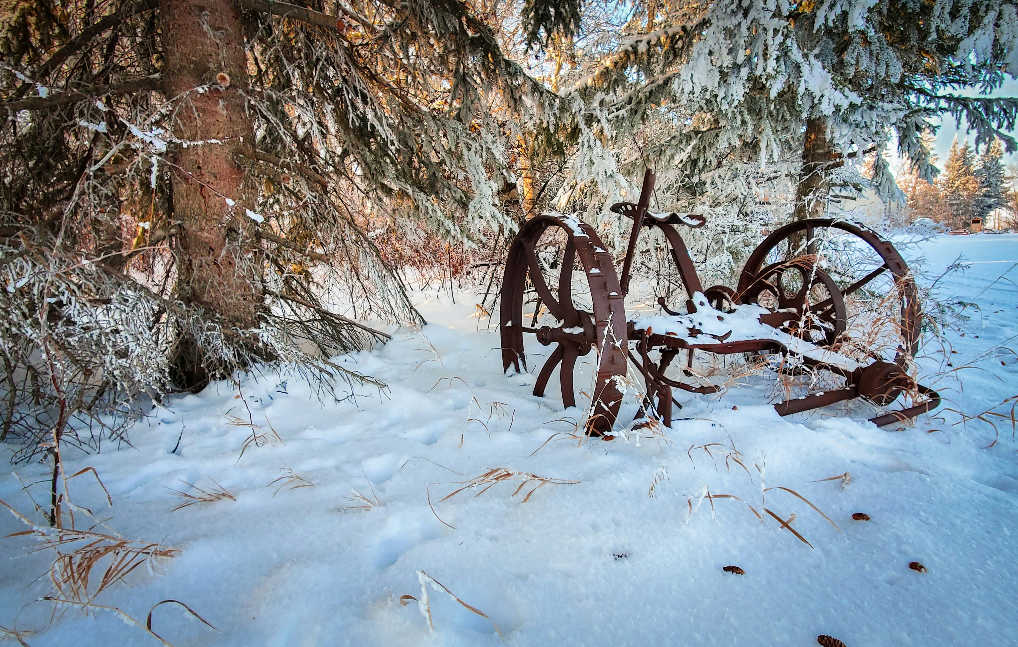 Rusted Wheelstill in a Snowbound Clearing