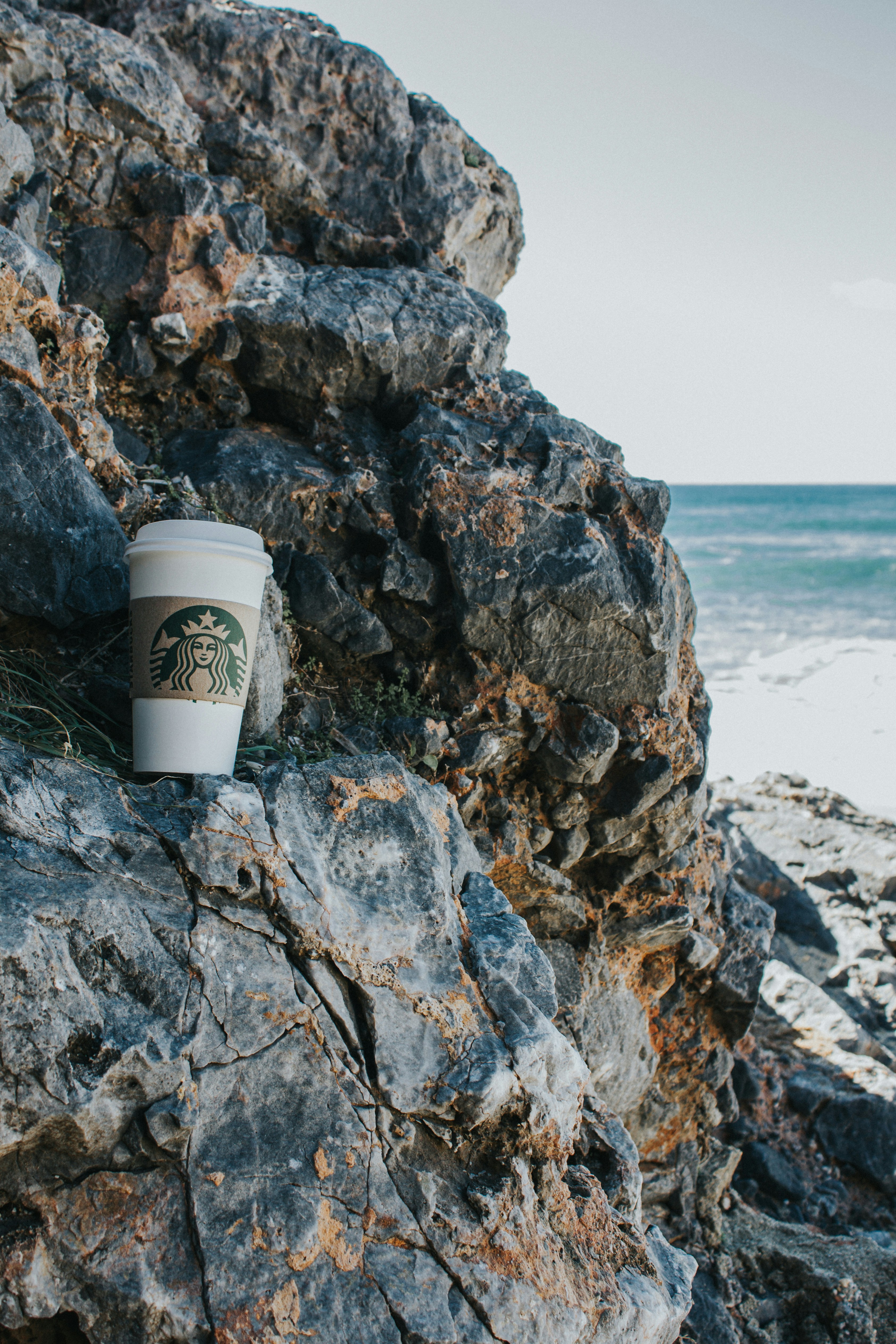 Edge-of-the-Sea Coffee: A Starbucks Cup Adrift on Weathered Rocks