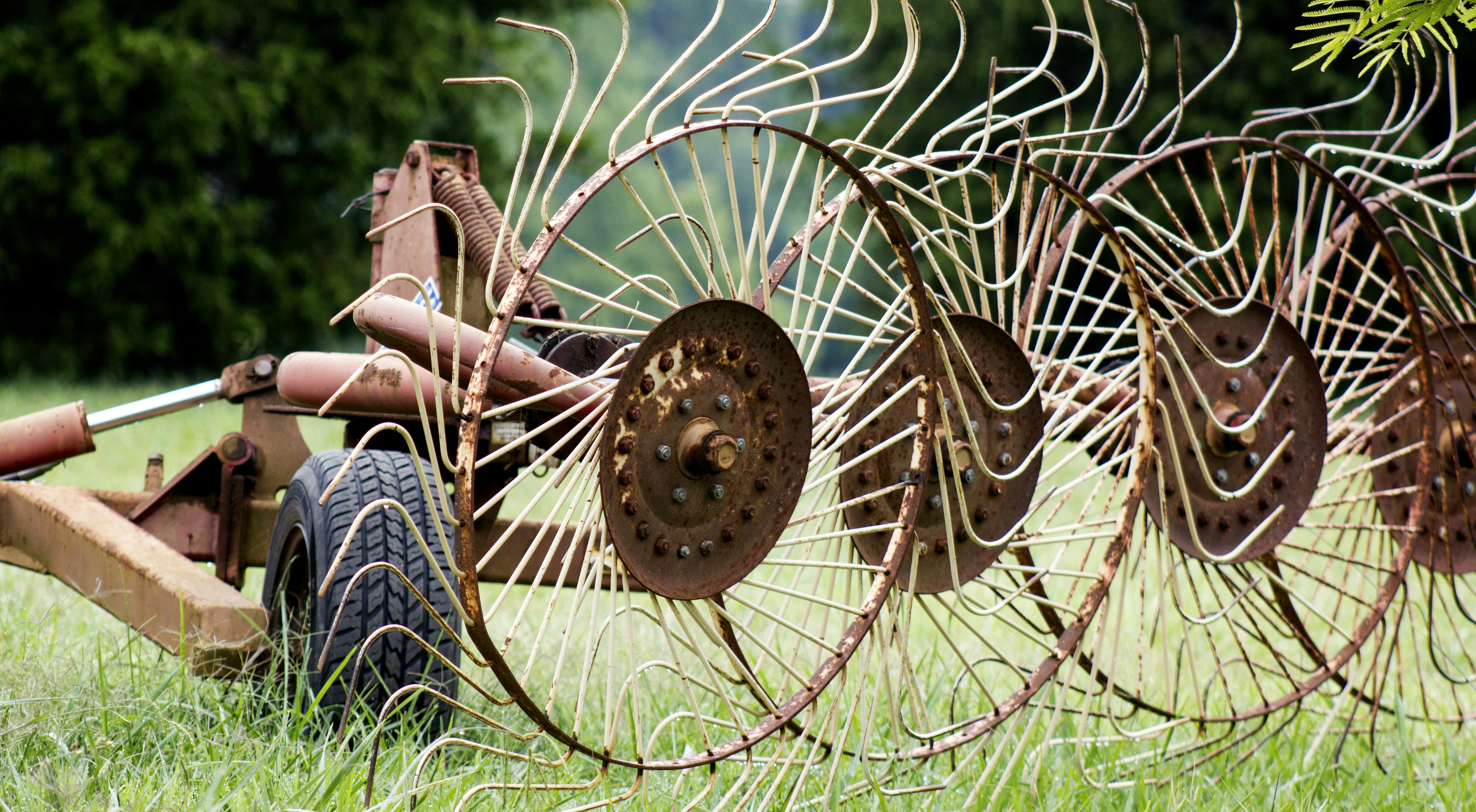 Old agricultural rake resting in lush green grass, showcasing its intricate metal structure and weathered wheels.