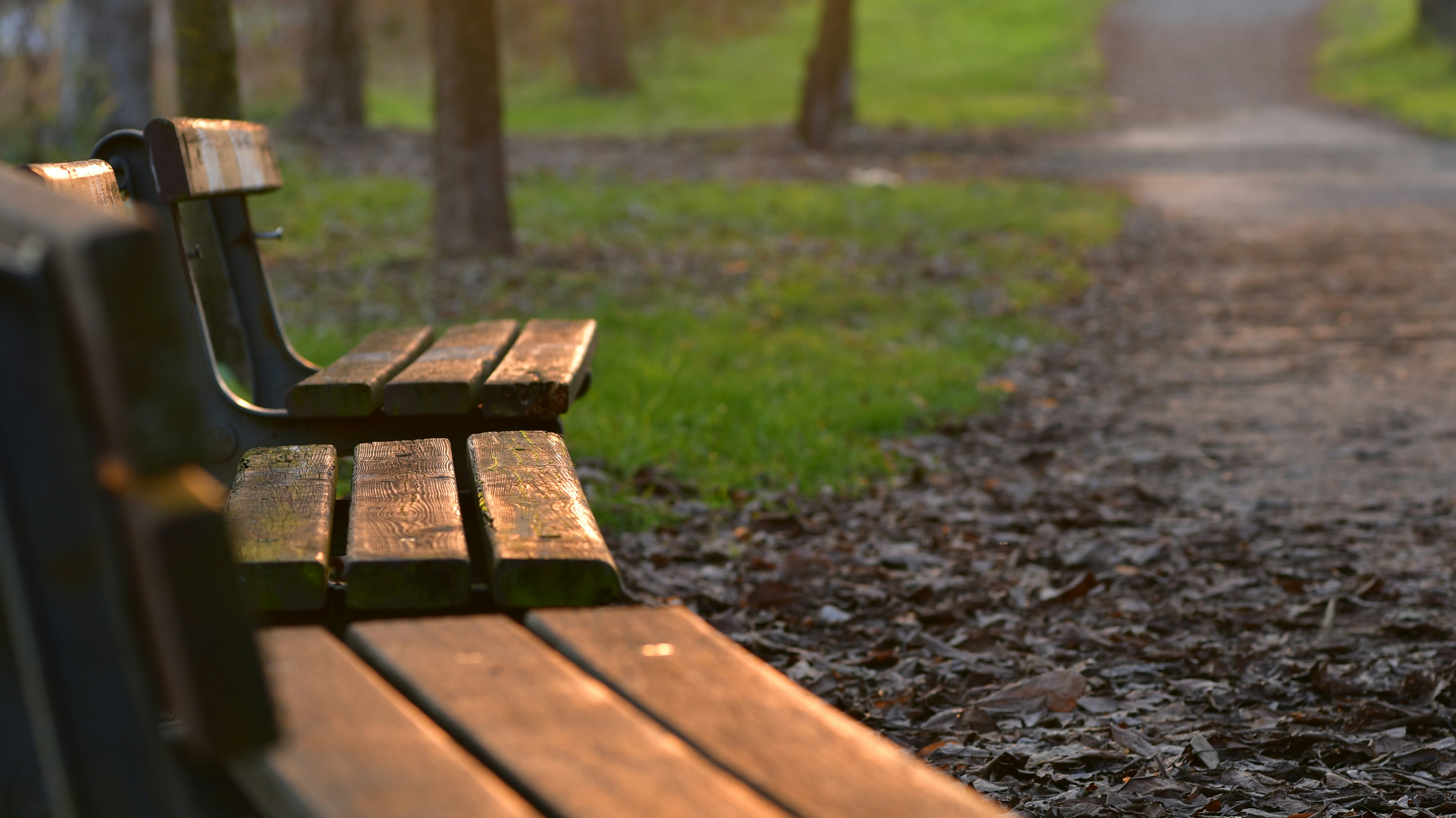 A park bench sitting on top of a leaf covered ground photo – Free ...