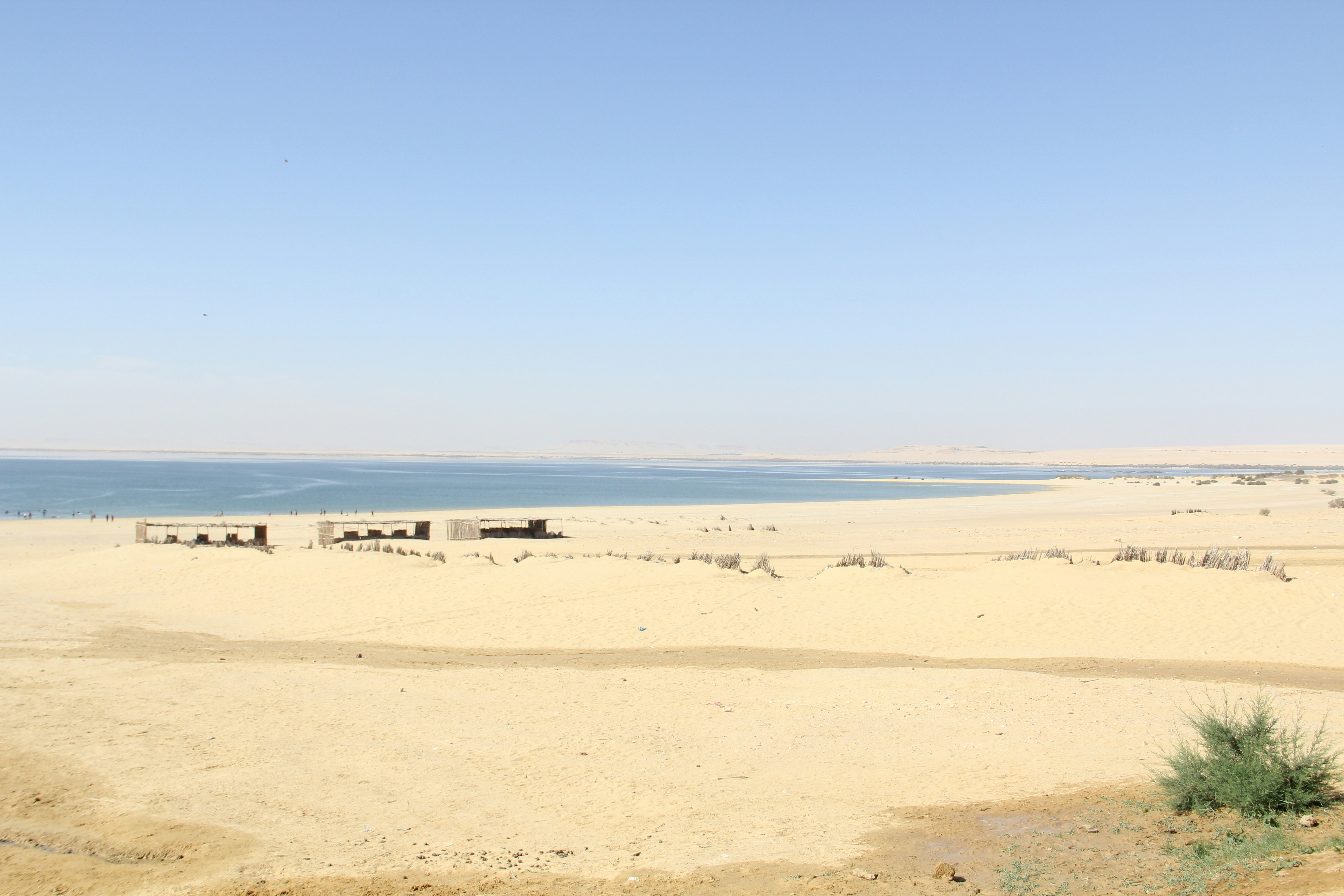 a sandy beach with a blue ocean in the background