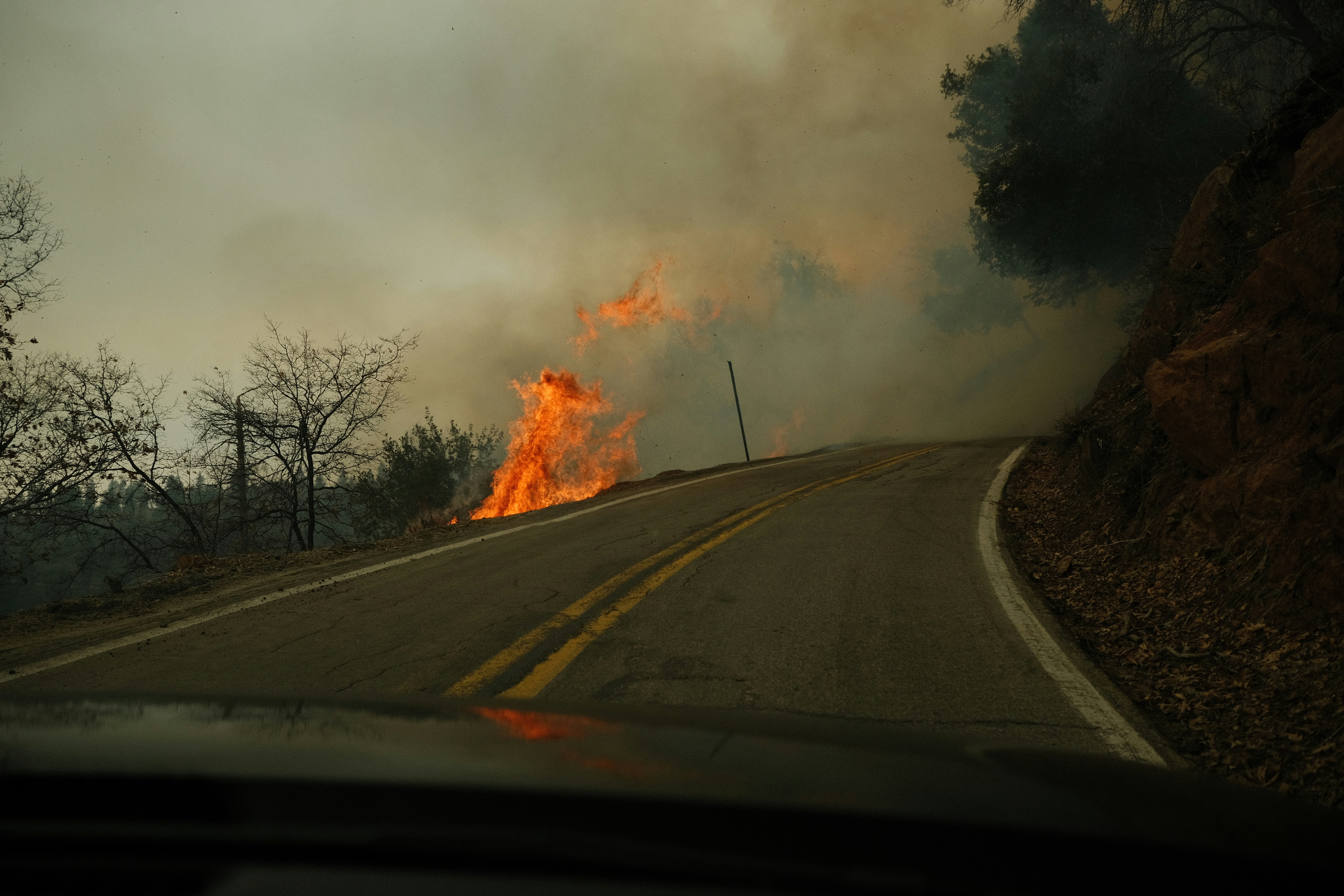 A wildfire engulfs the roadside, with flames licking the edge of a winding road. Smoke billows into the sky, creating a dramatic and alarming scene.
