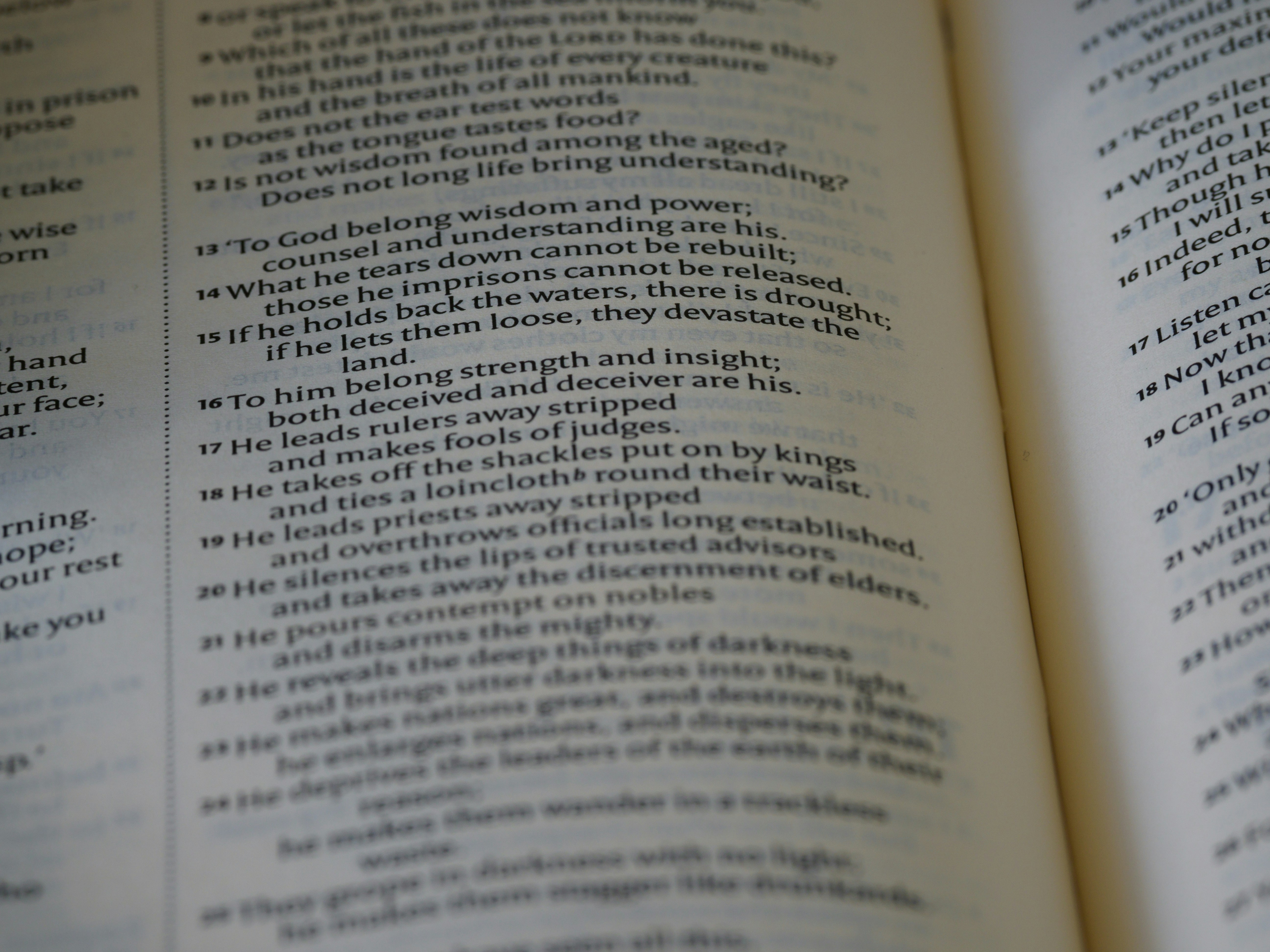 A close up of an open book with text photo – Free Grey Image on Unsplash