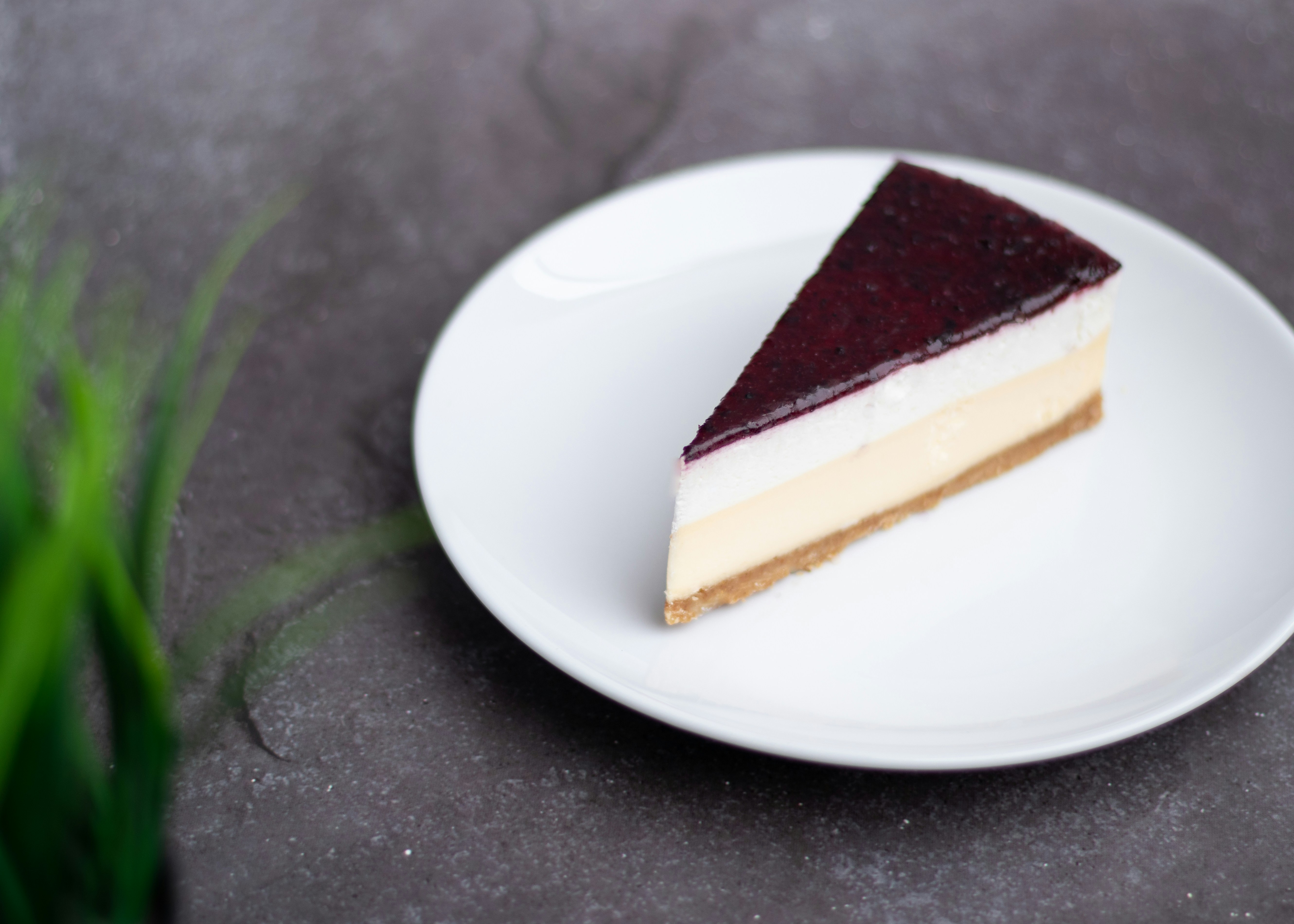 A piece of cheesecake on a white plate photo – Free Ahad rafidah saudi ...
