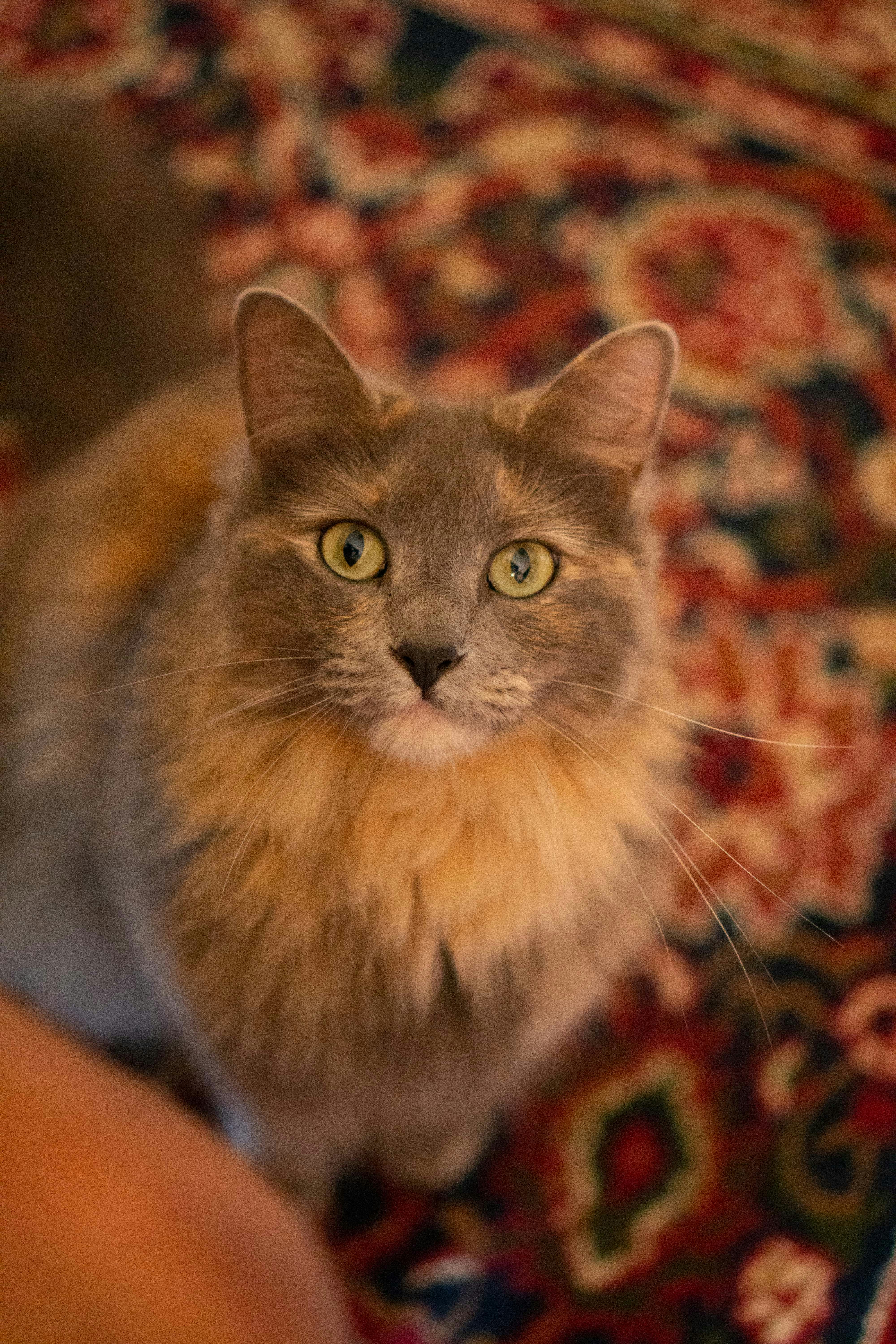 Pompei, generation z girl.