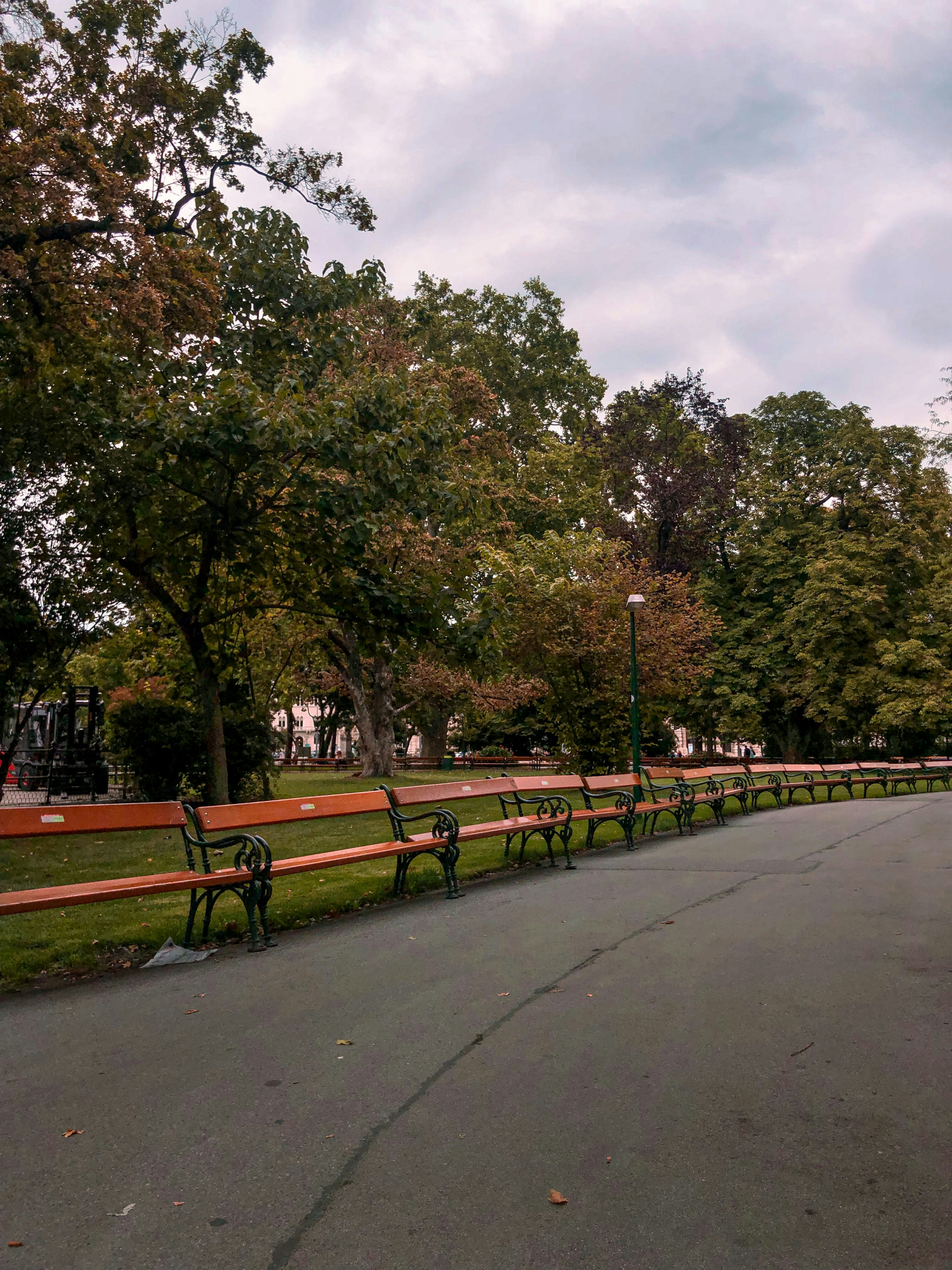 A serene park scene featuring benches lined along a winding path, surrounded by lush trees in various shades of green and hints of autumn color.