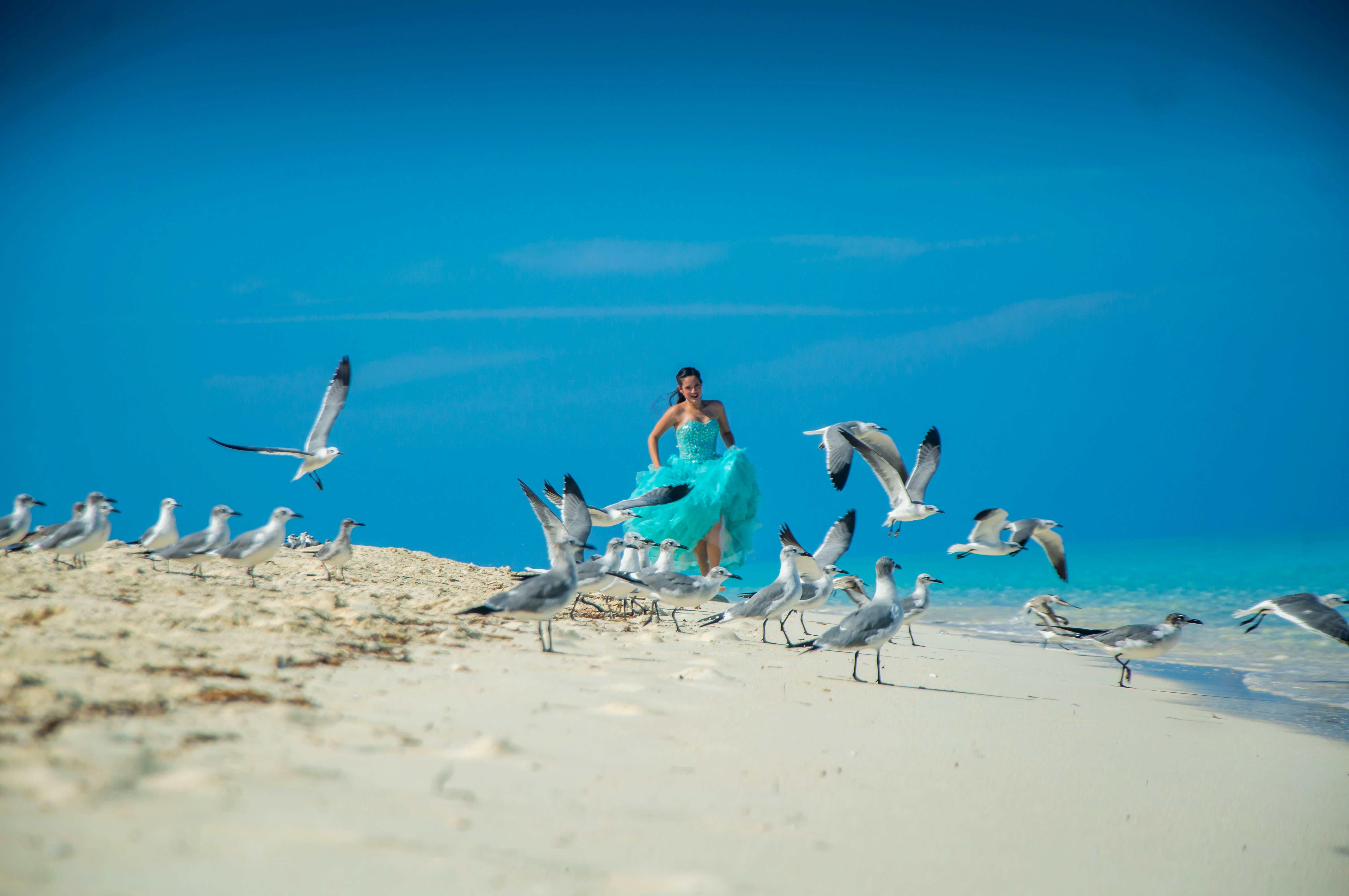 A teenager running along the beach during a photography session  among a flock of seagulls.