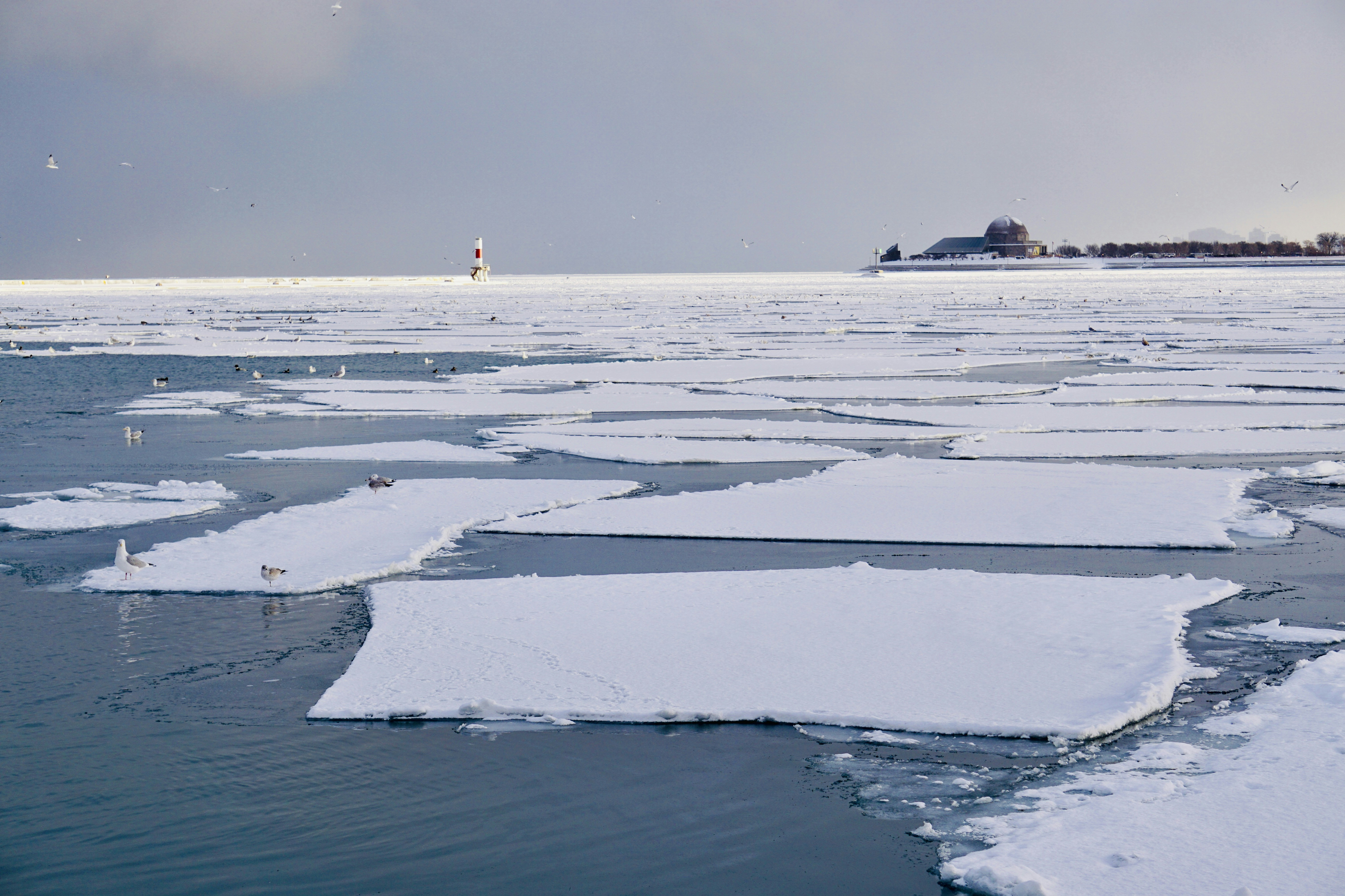 A group of ice floes floating on top of a body of water photo – Free ...